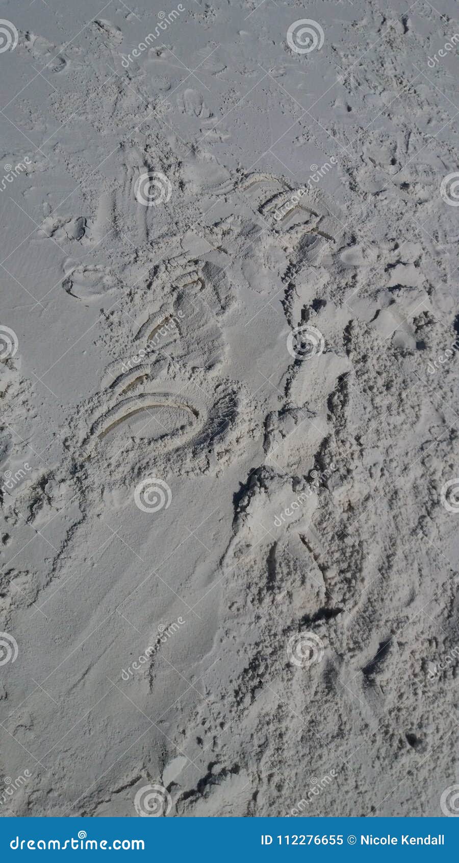 Turtle tracks stock image. Image of beach, tracks, park - 112276655