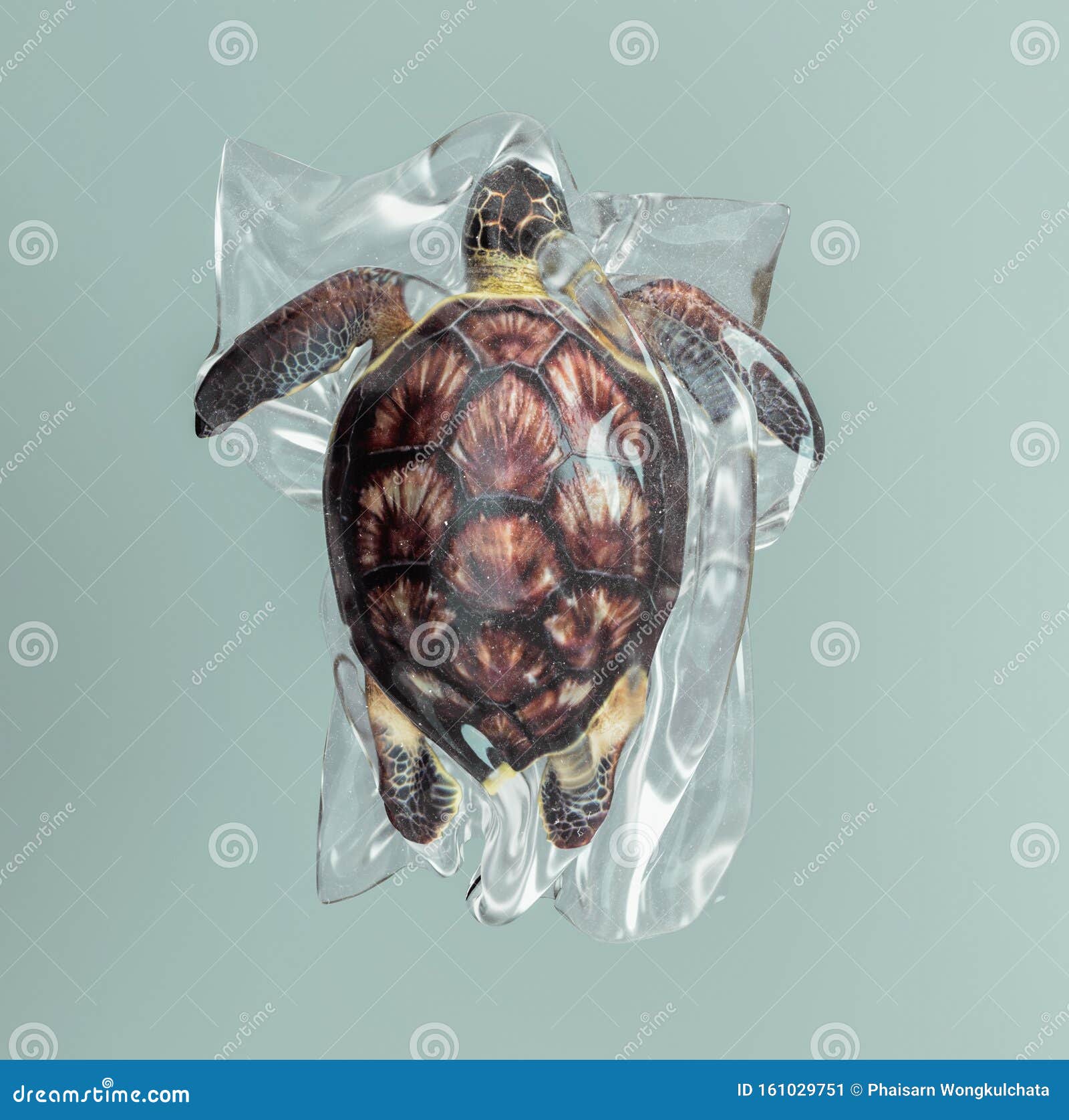 Turtle In A Plastic Bag Say No To Plastic. Pollution Problem Concept ...