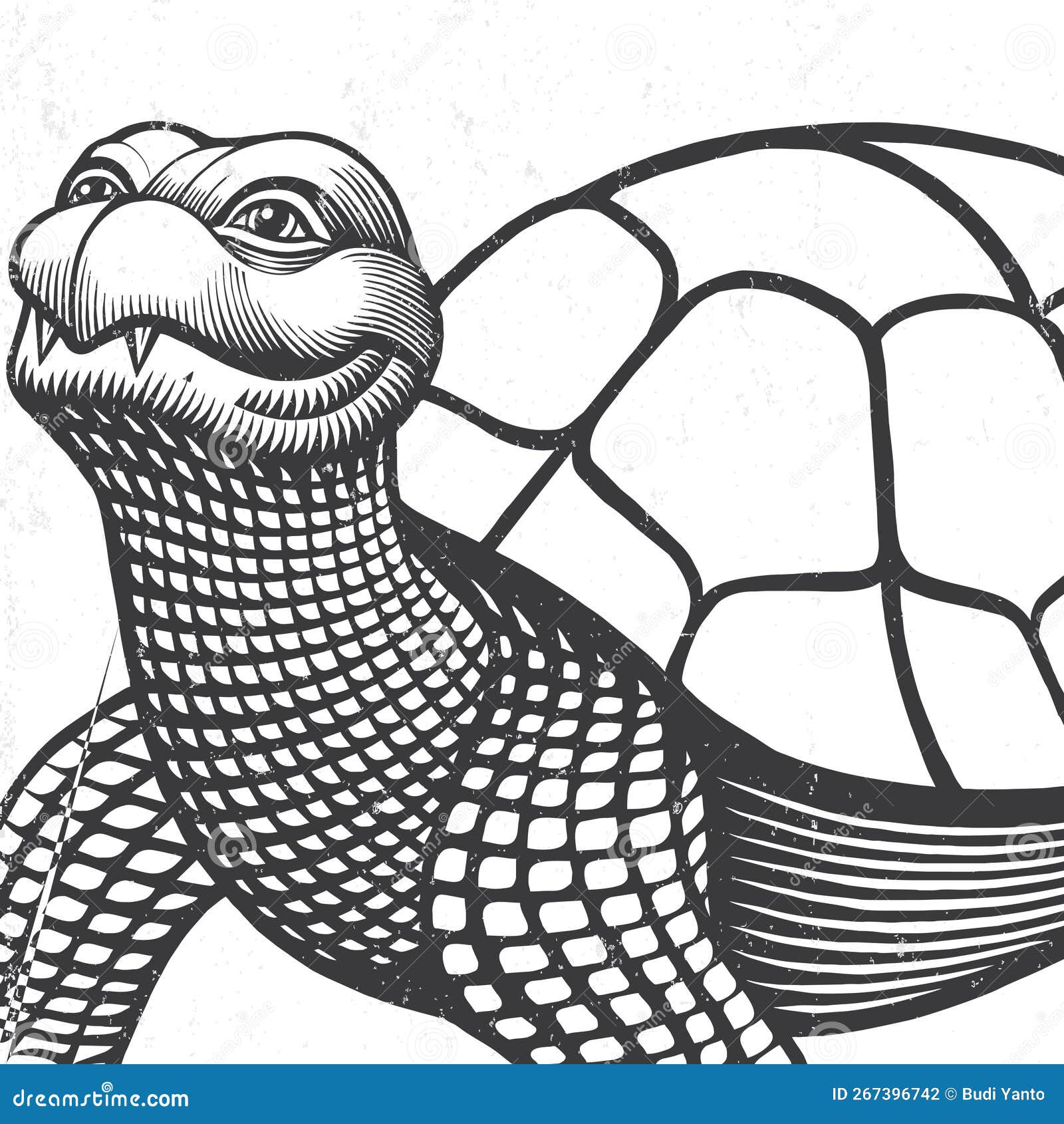 Turtle Vector Black and White Stock Vector - Illustration of design ...