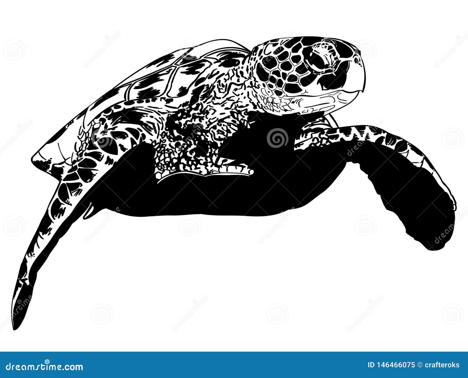 Turtle Vector Eps Hand Drawn, Vector, Eps, Logo, Icon, Silhouette ...