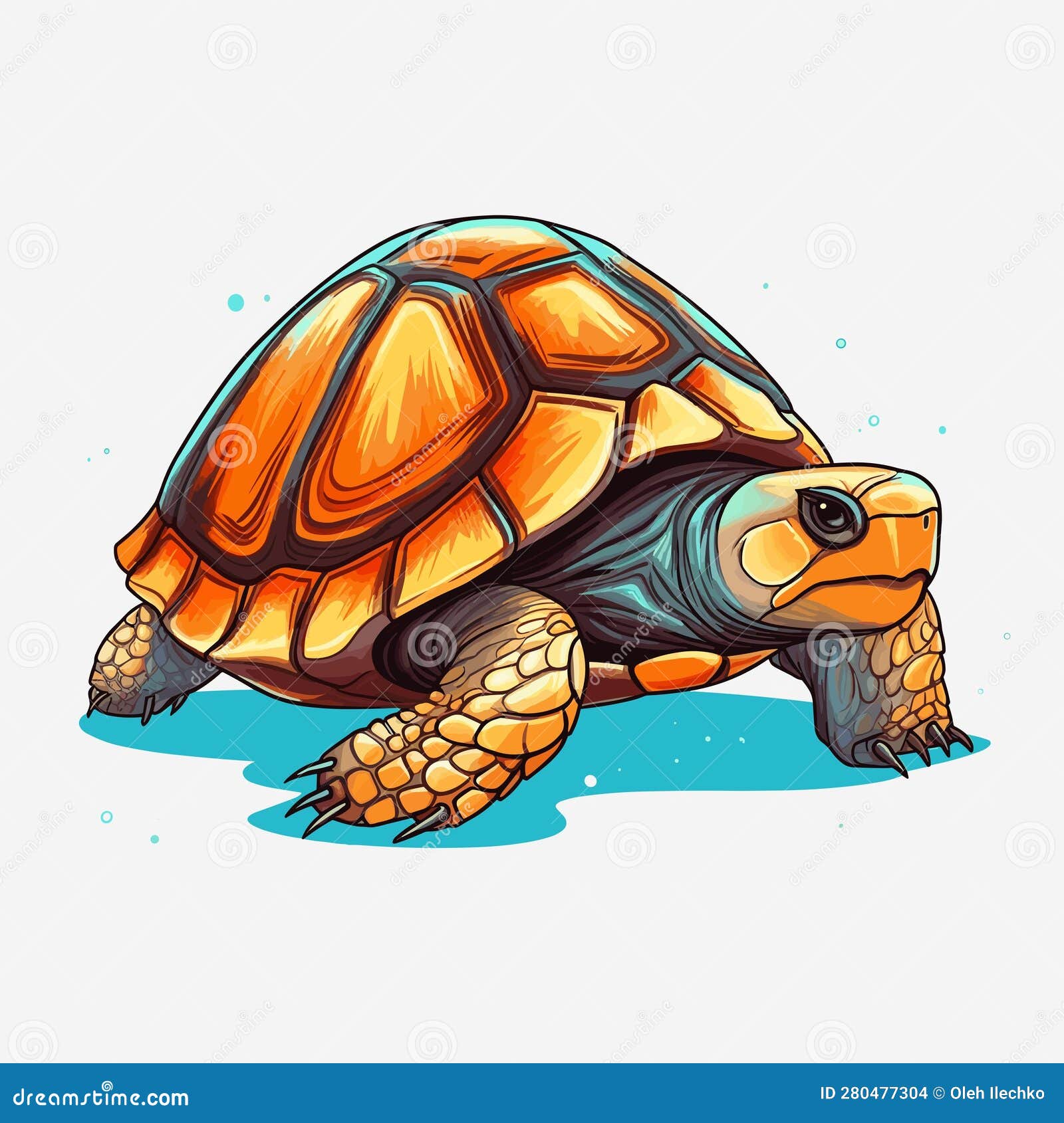 Turtle Vector Illustration Isolated on White Illustration Stock Vector ...