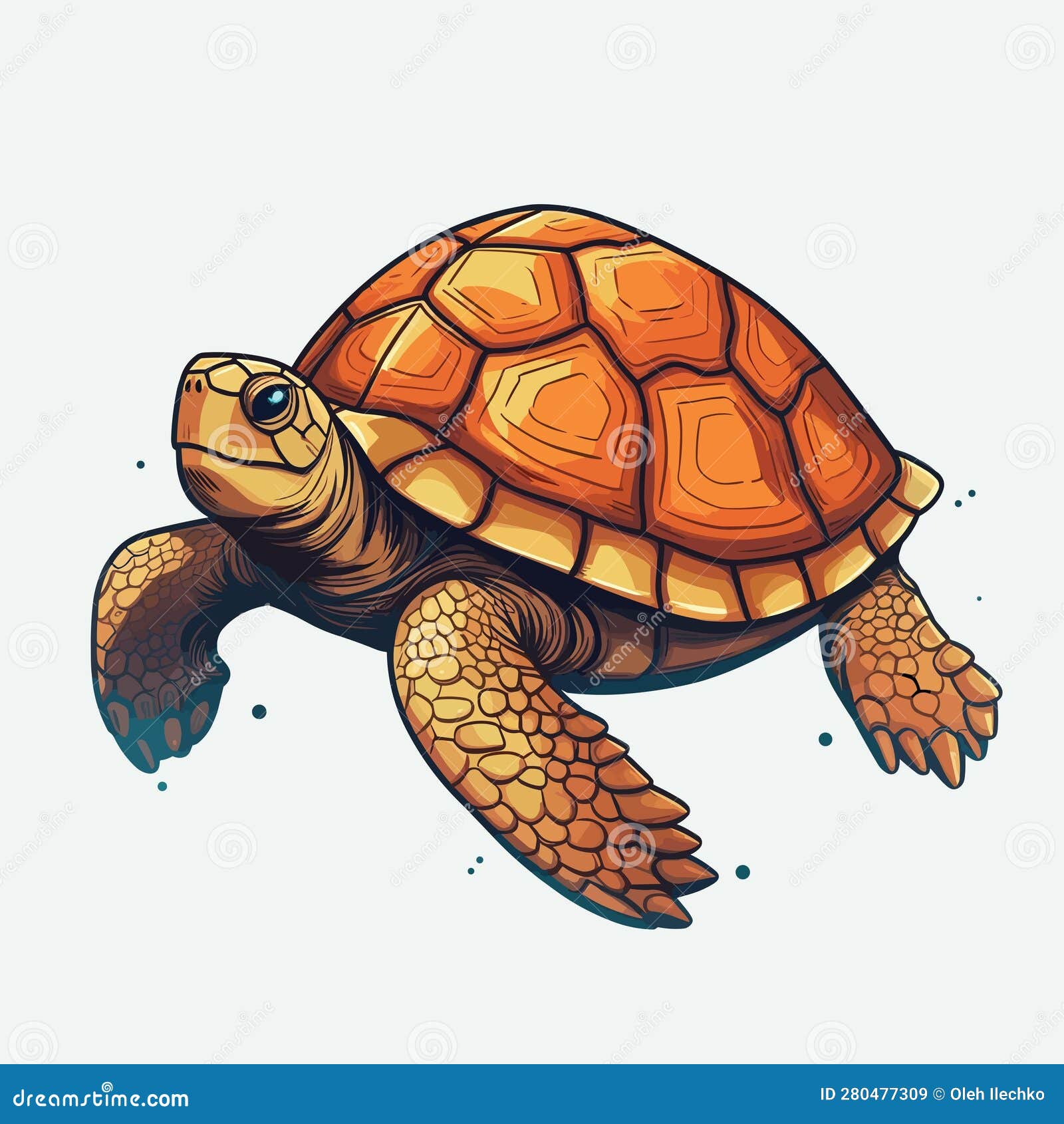 Turtle Vector Illustration Isolated on White Illustration Stock Vector ...