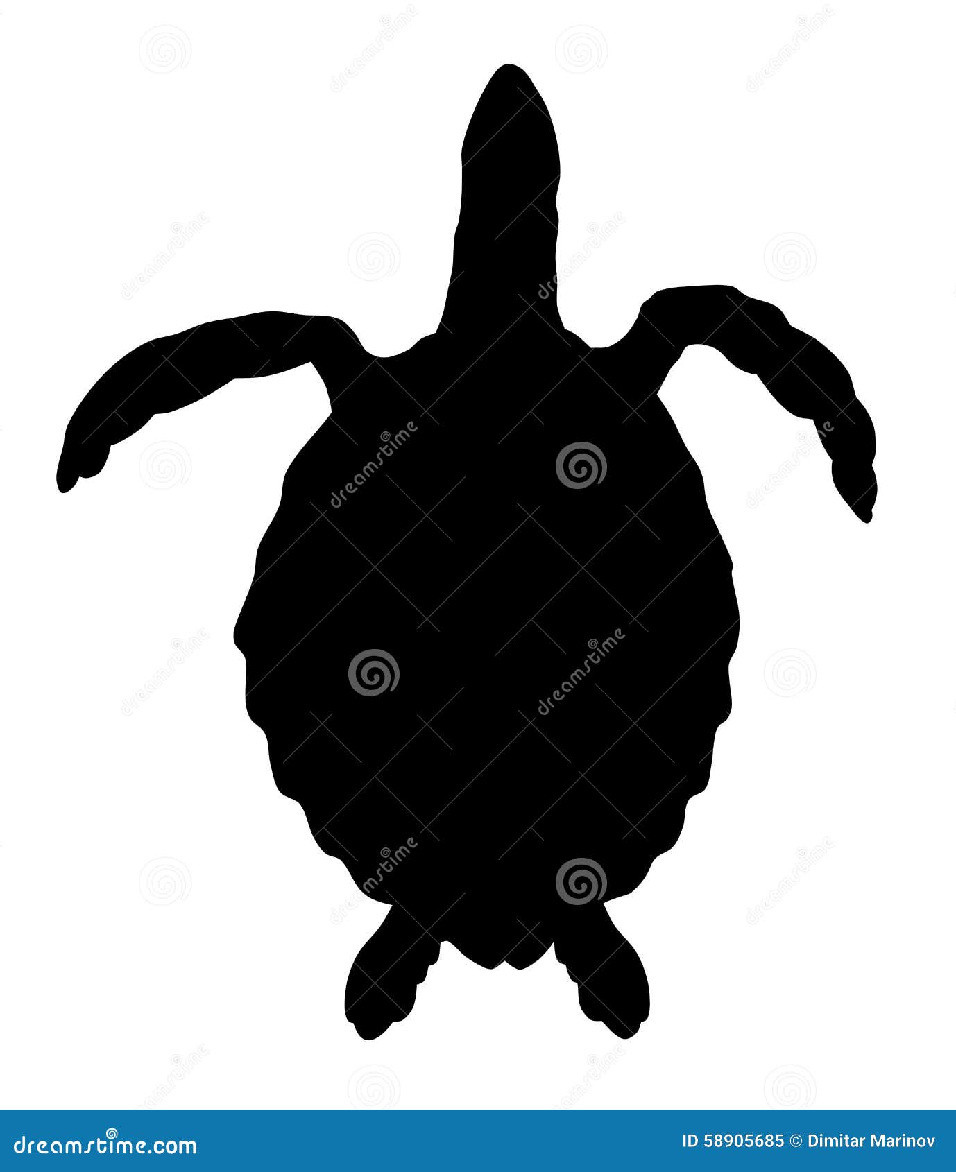 Turtle stock vector. Illustration of tortoise, shell - 58905685