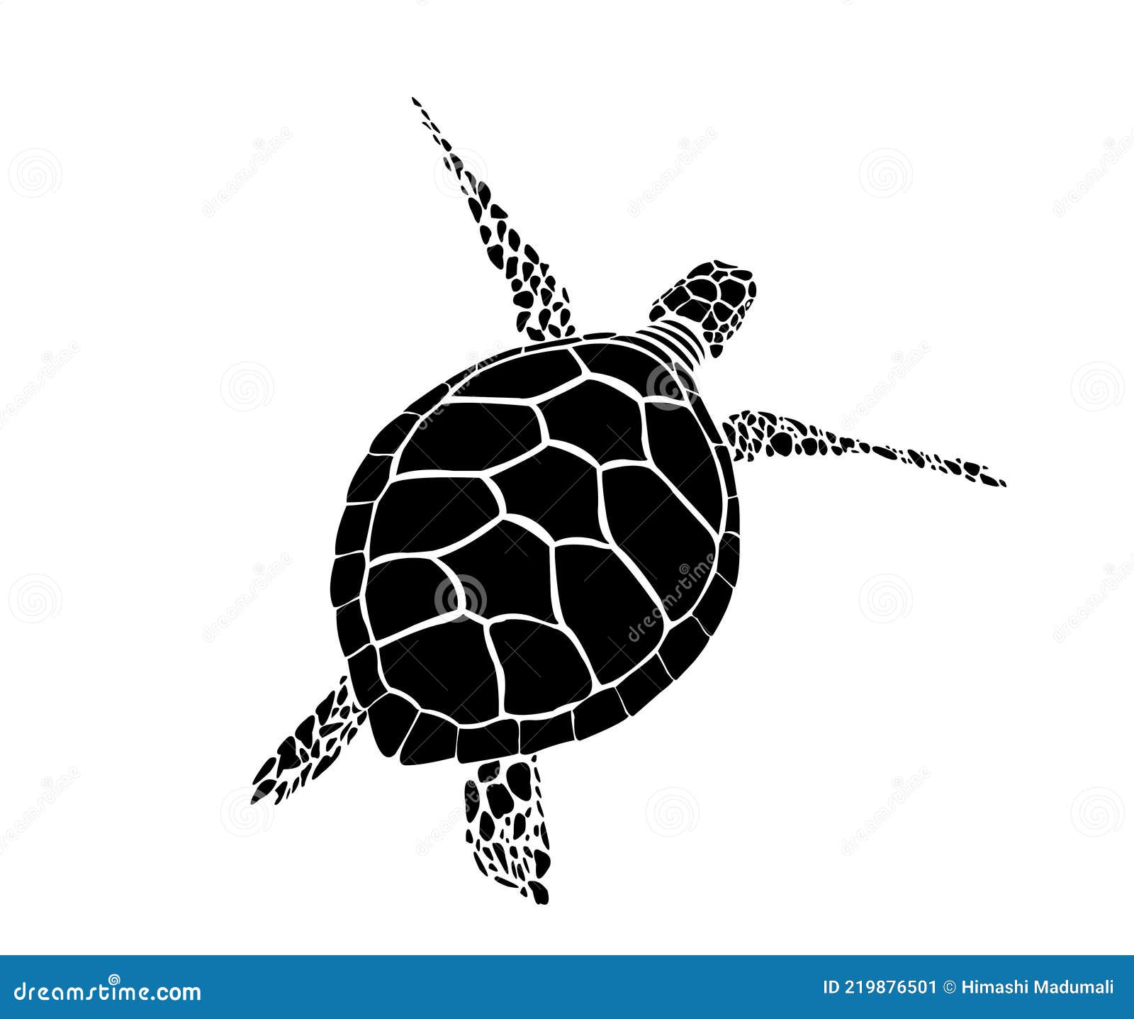 Turtle Vector Illustration, Top View. Great Detailed Vector Stock ...