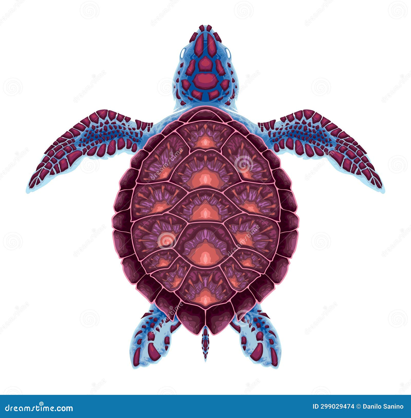 Turtle on Top View, Vector Isolated Animal Stock Vector - Illustration ...