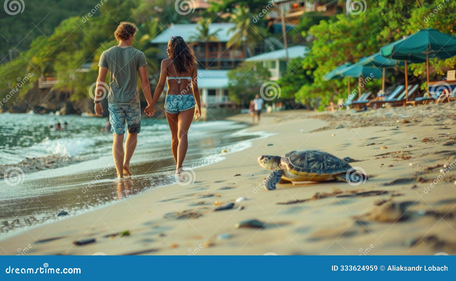 A Turtle Walks Along the Beach with a Couple in Love Stock Illustration ...