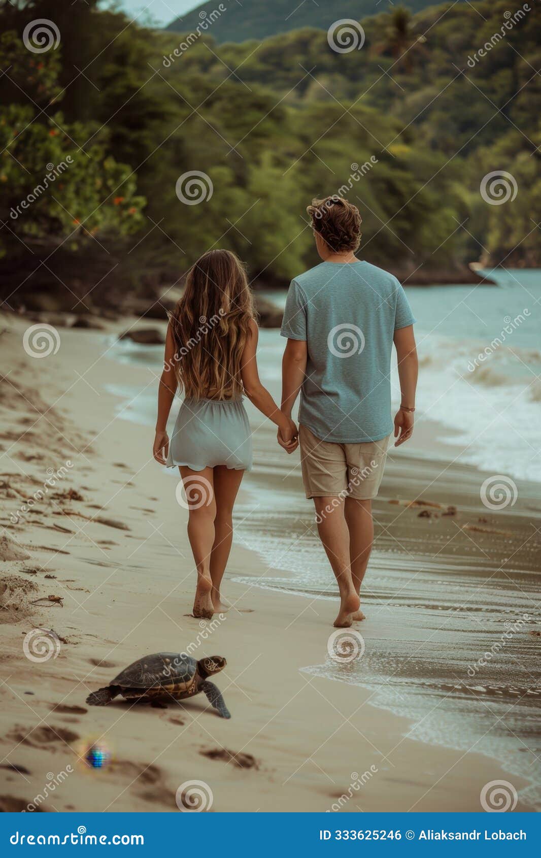 A Turtle Walks Along the Beach with a Couple in Love Stock Illustration ...