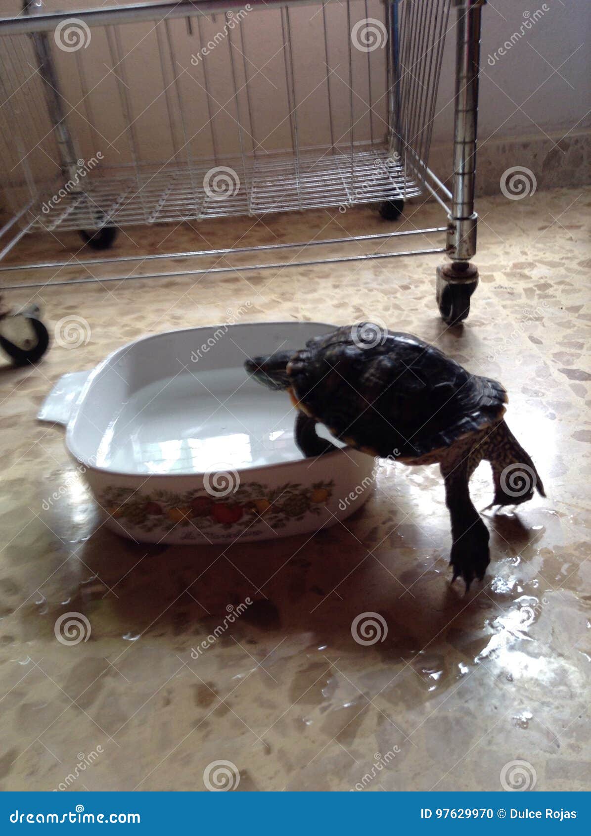 Eaving Baths Stock Photos - Free & Royalty-Free Stock Photos from ...