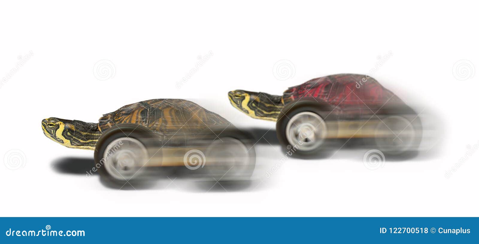 Turtle On Wheels Stock Image | CartoonDealer.com #17280715