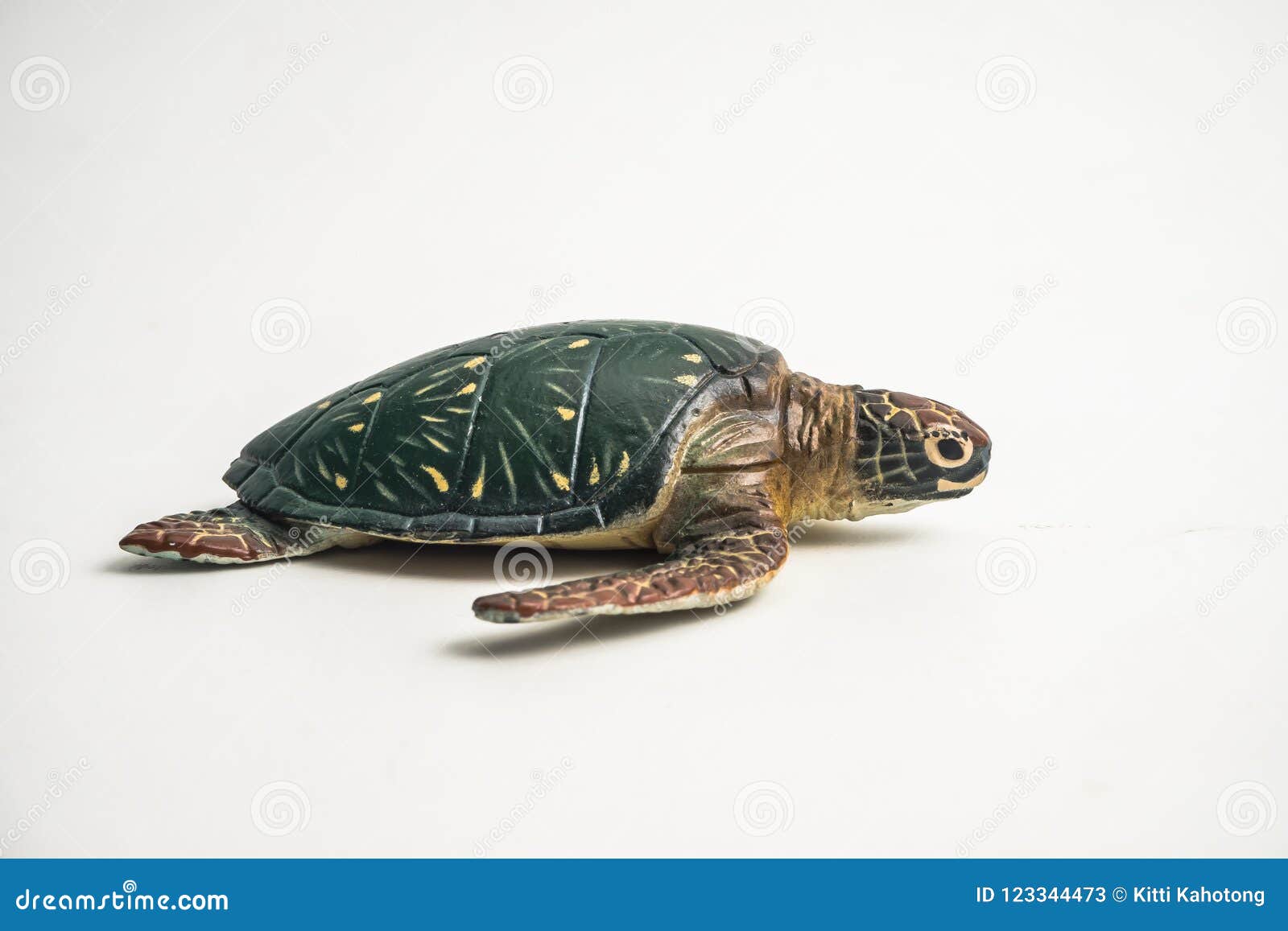 Turtle on white background stock image. Image of beauty - 123344473