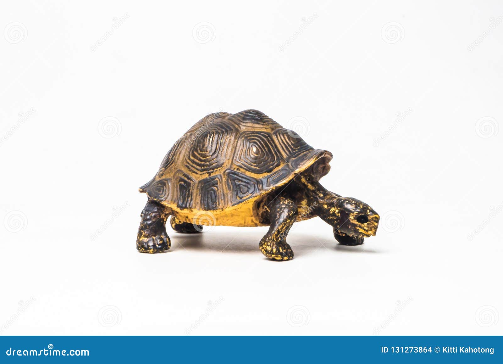 Turtle on white background stock photo. Image of wildlife - 131273864