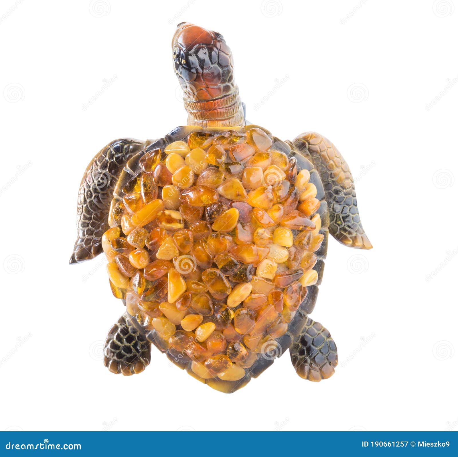 Turtle on a White Background Stock Image - Image of single, animal ...