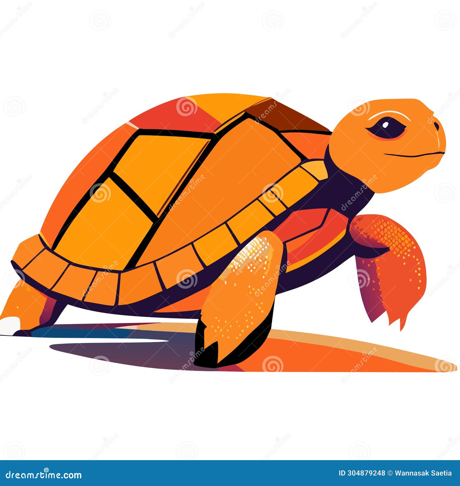 Turtle on a White Background Stock Illustration - Illustration of ...
