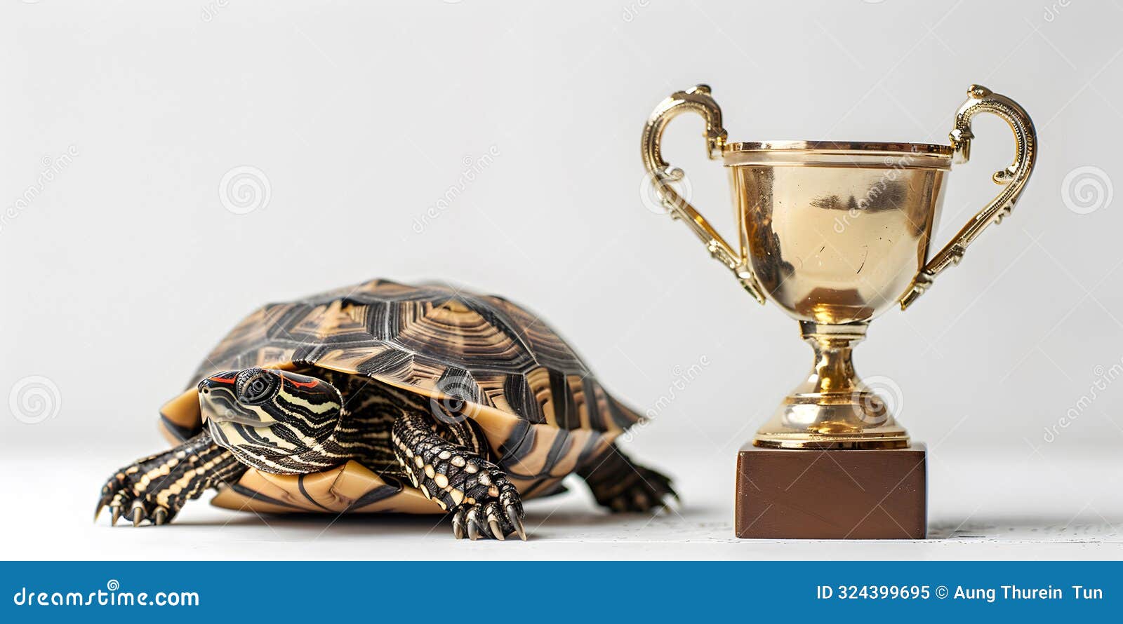 A Turtle and Winning Trophy As a Concept of Perseverance Stock Image ...