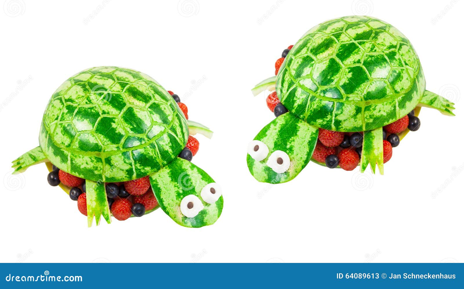 Watermelon Turtle Royalty-Free Stock Photo | CartoonDealer.com #47105691