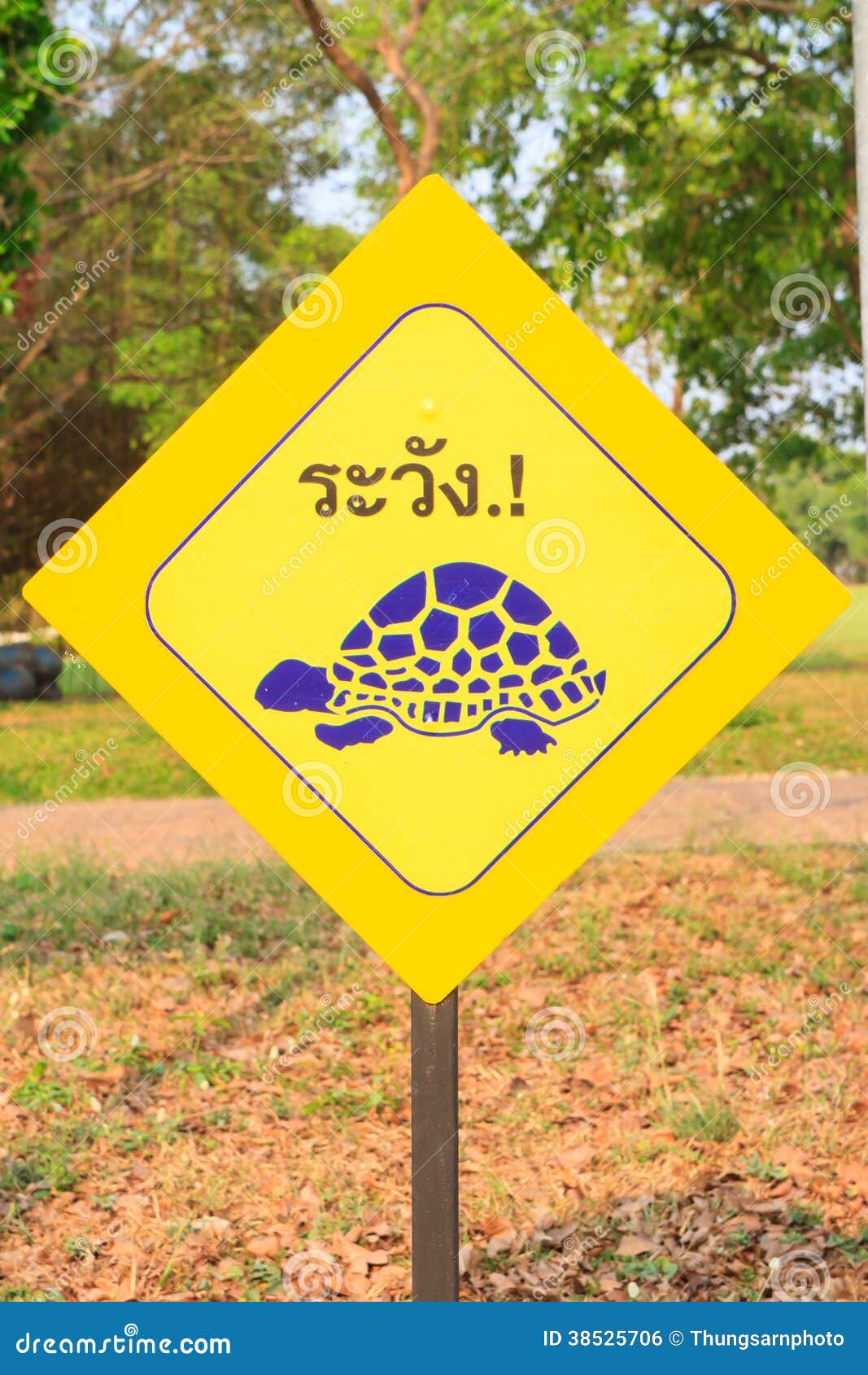 Turtles Crossing the Road Sign Stock Photo - Image of danger, road ...