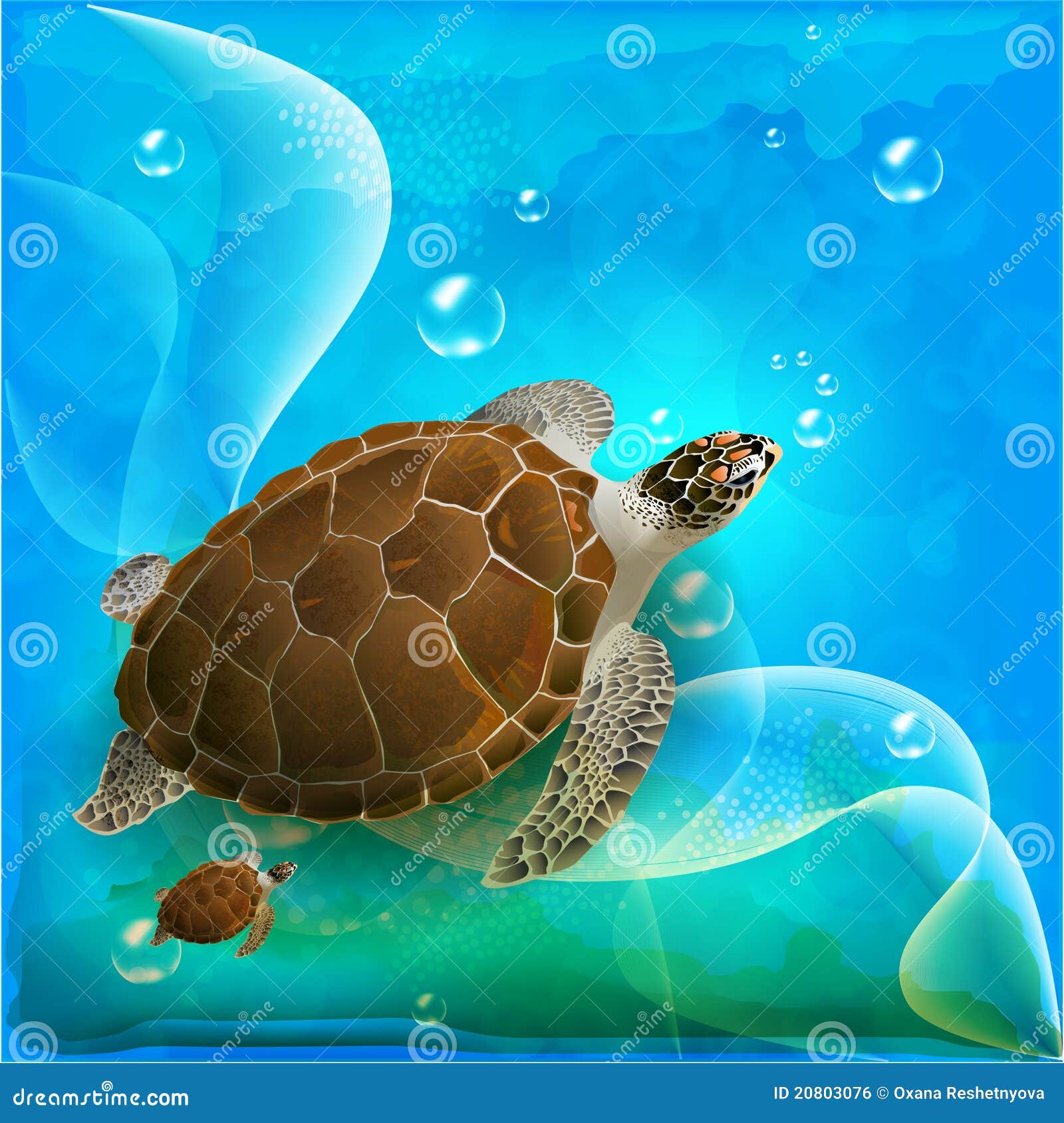 Turtles family stock vector. Illustration of mother, protection - 20803076