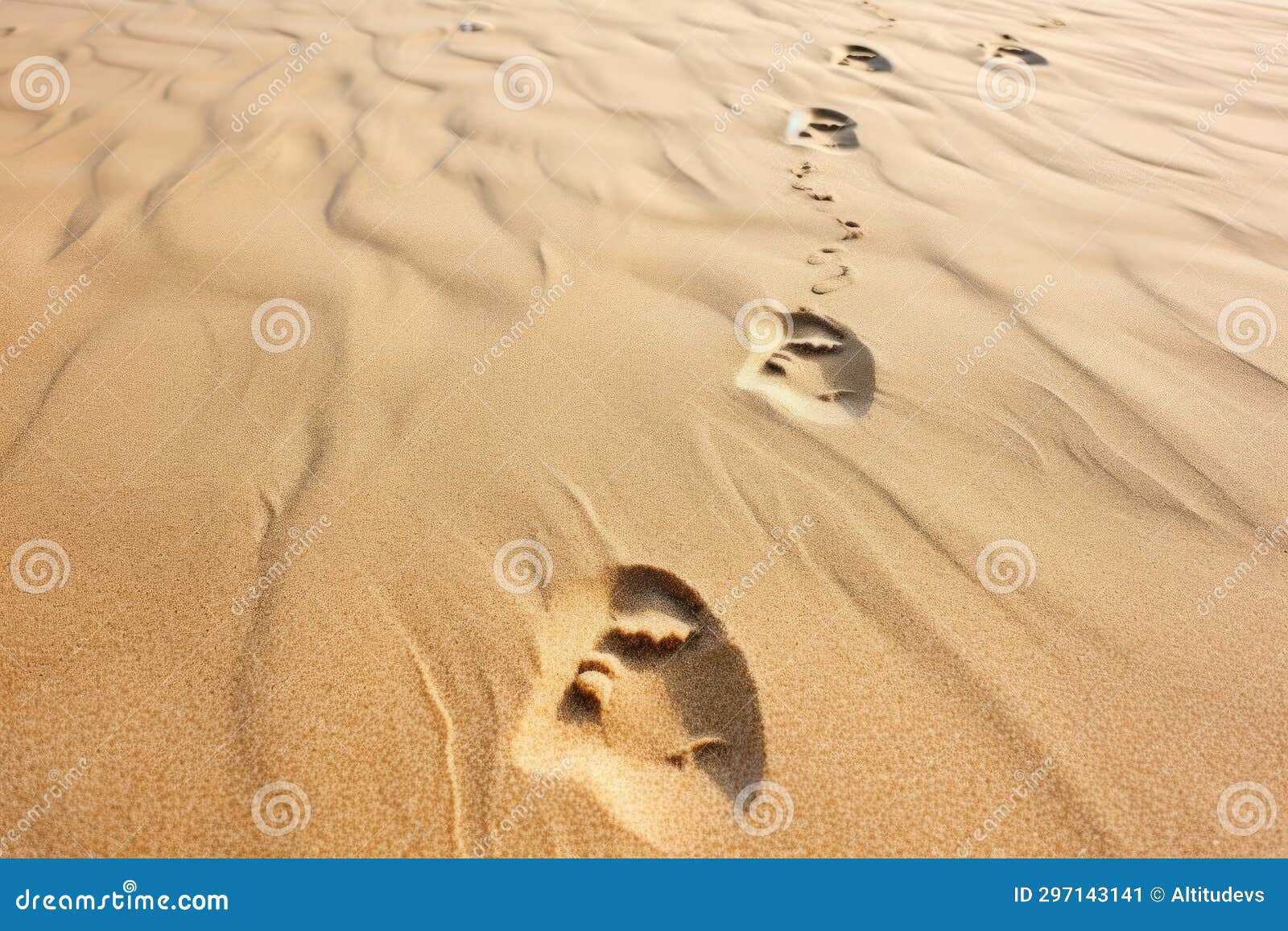 A Turtles Footprints on a Sandy Beach Stock Image - Image of ...