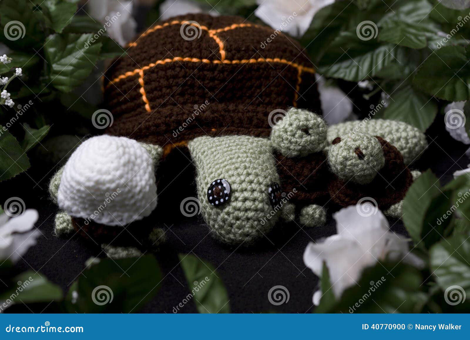 Turtles hatching stock photo. Image of cute, family, stuffed - 40770900