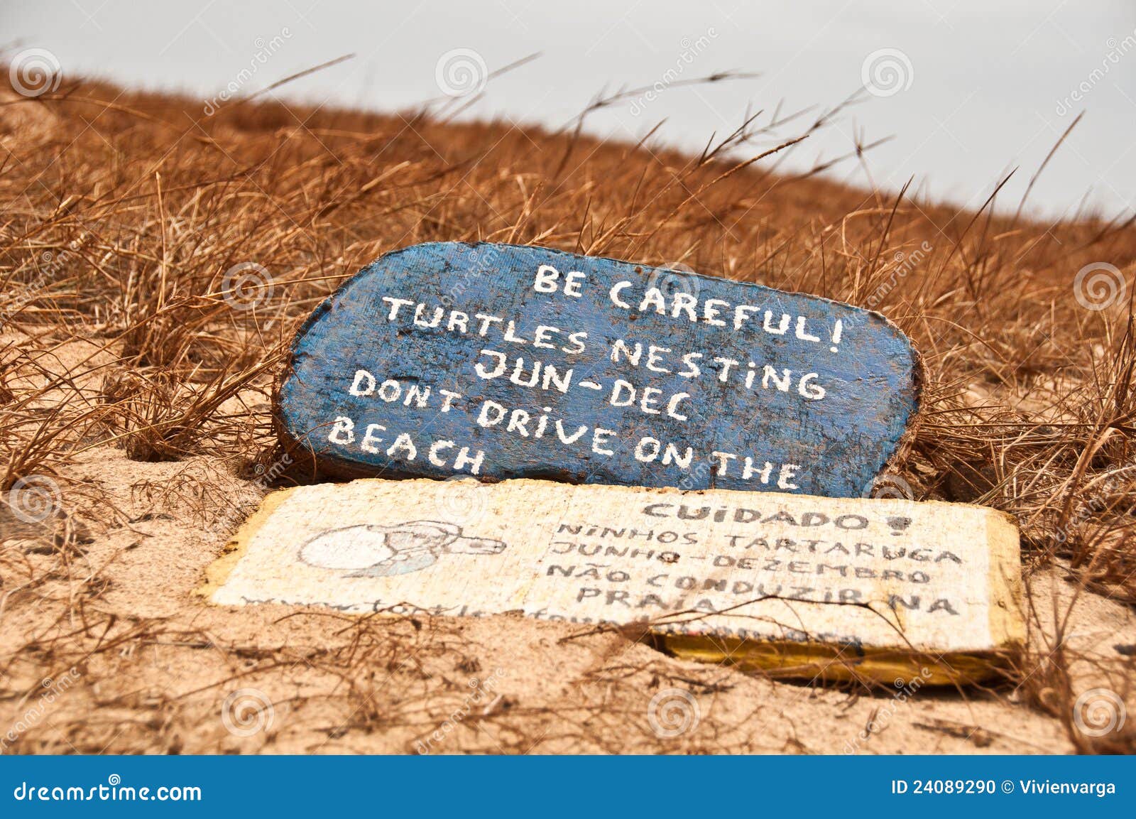 Turtles Nesting Warning Sign On The Beach Royalty-Free Stock Image ...