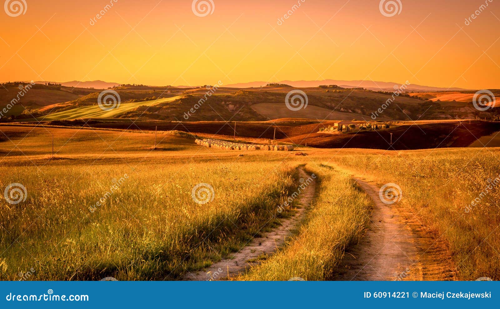 Tuscan country road stock image. Image of corn, country - 60914221