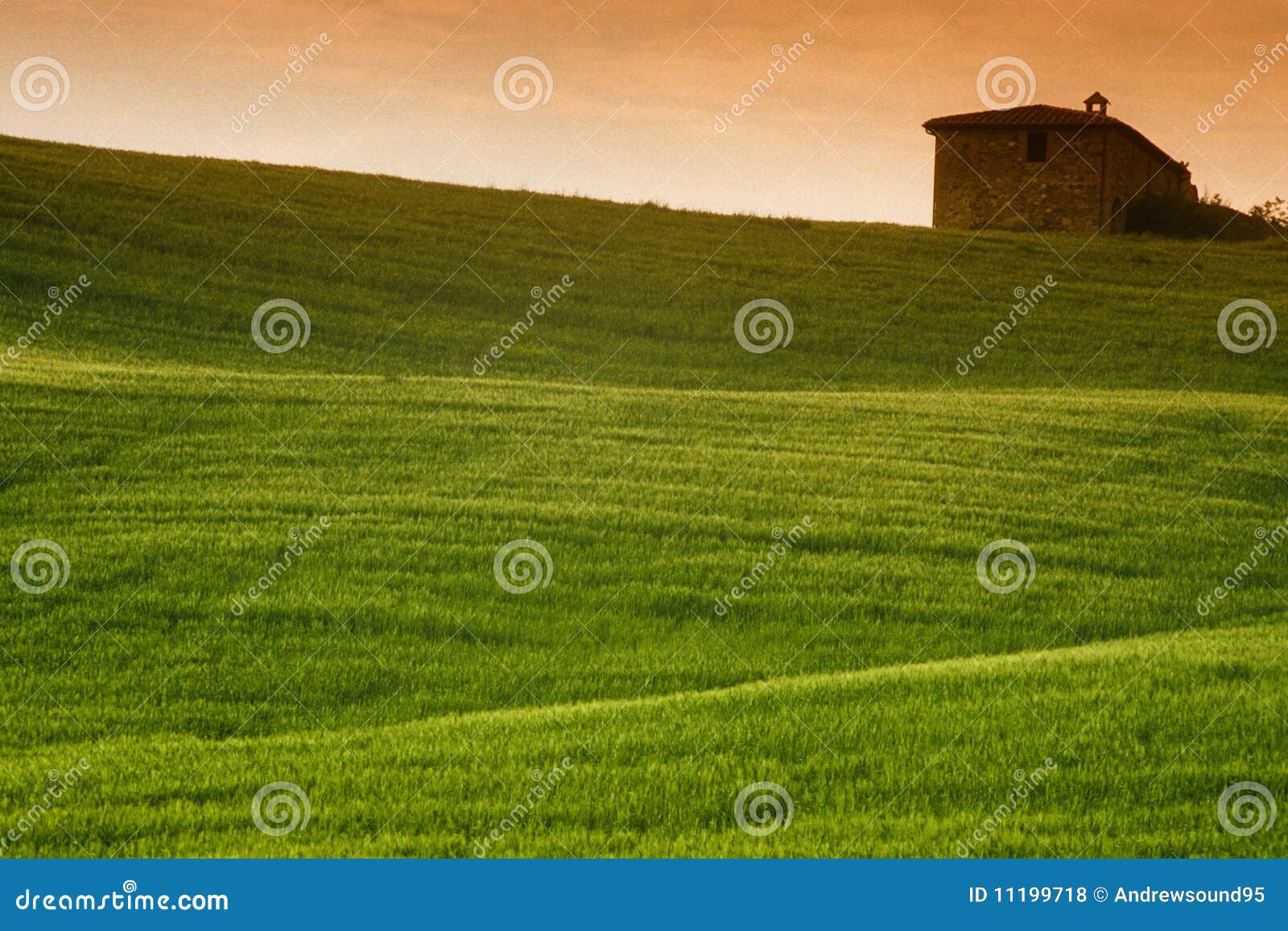 Tuscan Fields stock photo. Image of scenic, hill, foreign - 11199718