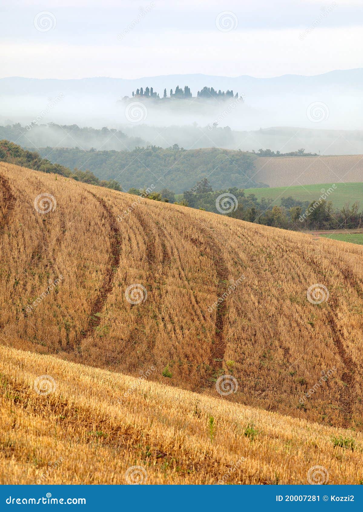Tuscan Fields stock image. Image of beautiful, calmness - 20007281