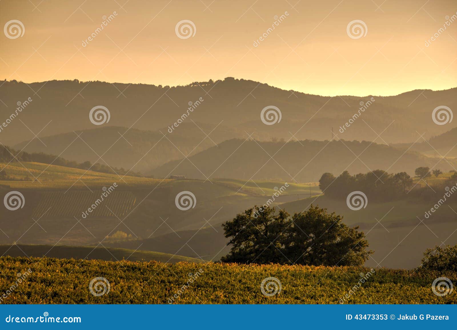 Tuscan Fields stock image. Image of clouds, golden, travel - 43473353