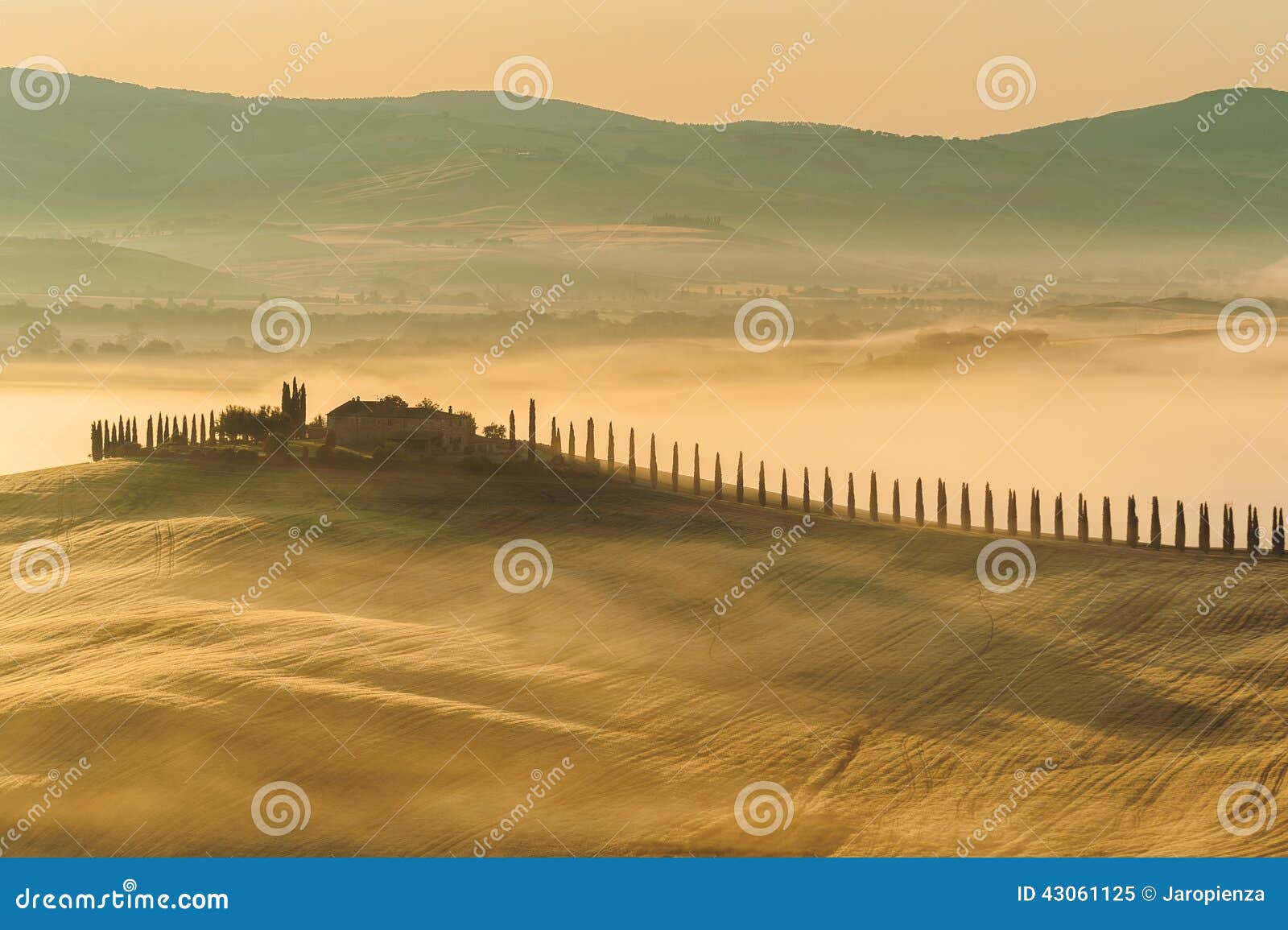 Tuscan Fog on the Rustic Field in Sunshine, Italy Stock Image - Image ...
