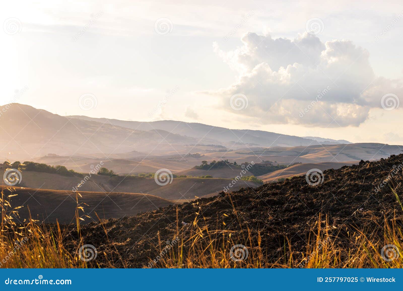 Tuscan Hills after Rain at Golden Hour Stock Image - Image of trees ...