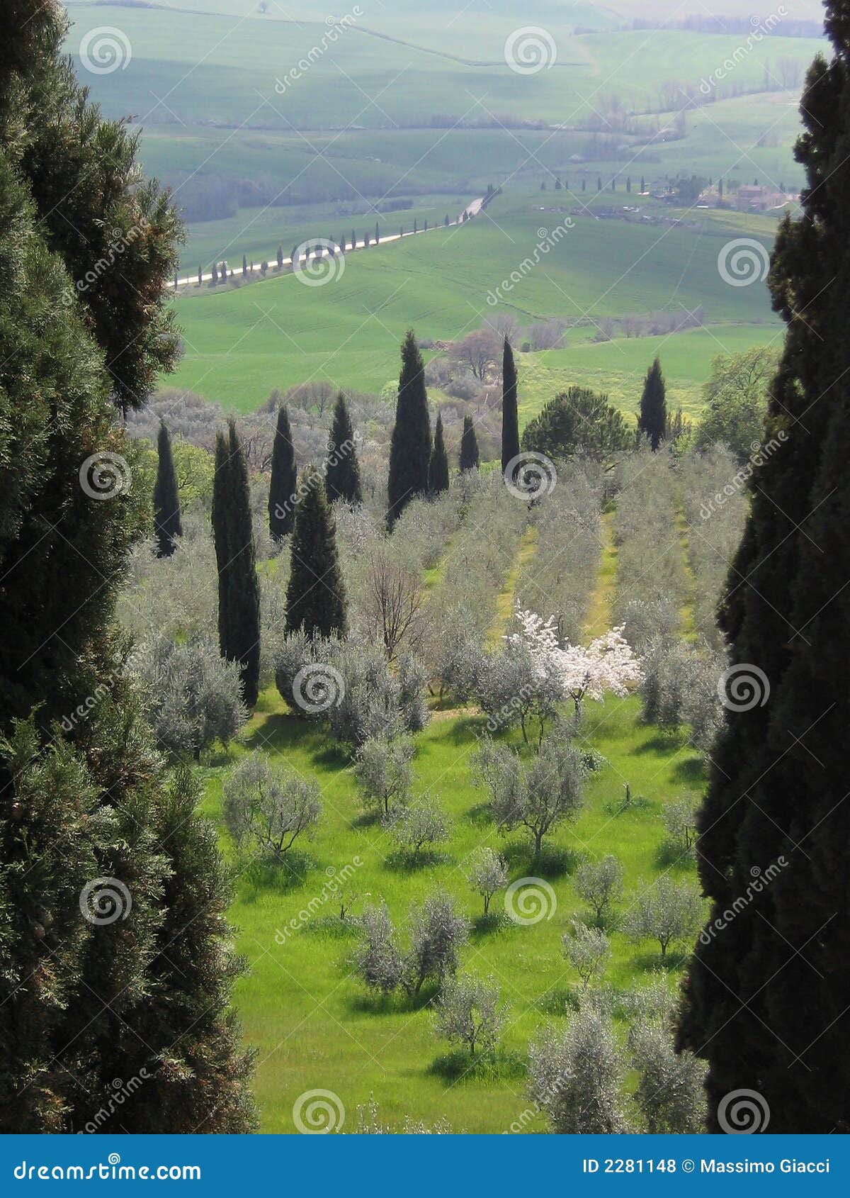 Tuscan hillside, Italy stock photo. Image of green, travel - 2281148