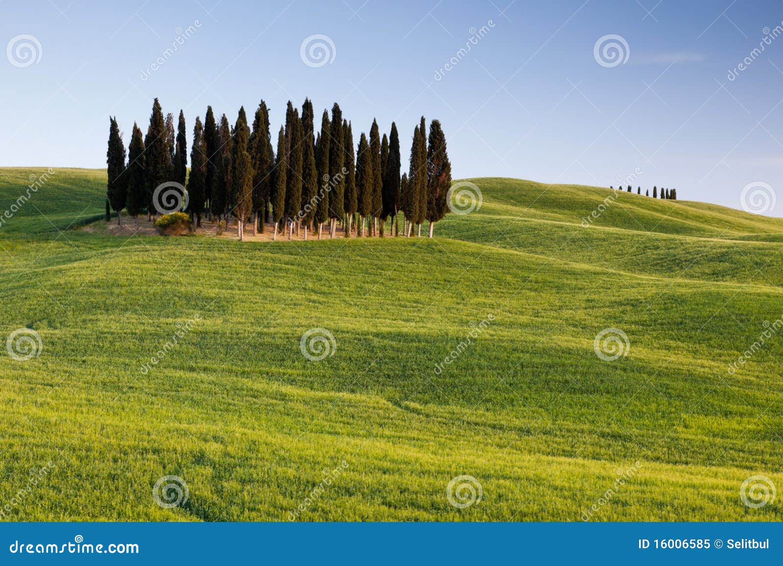 Tuscan idyllic countryside stock image. Image of nature - 16006585