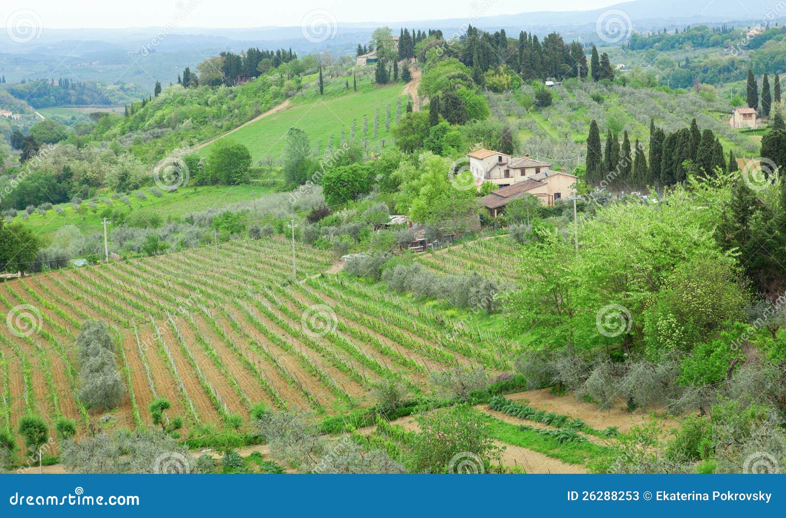 Tuscan landscape stock image. Image of hillside, scenic - 26288253