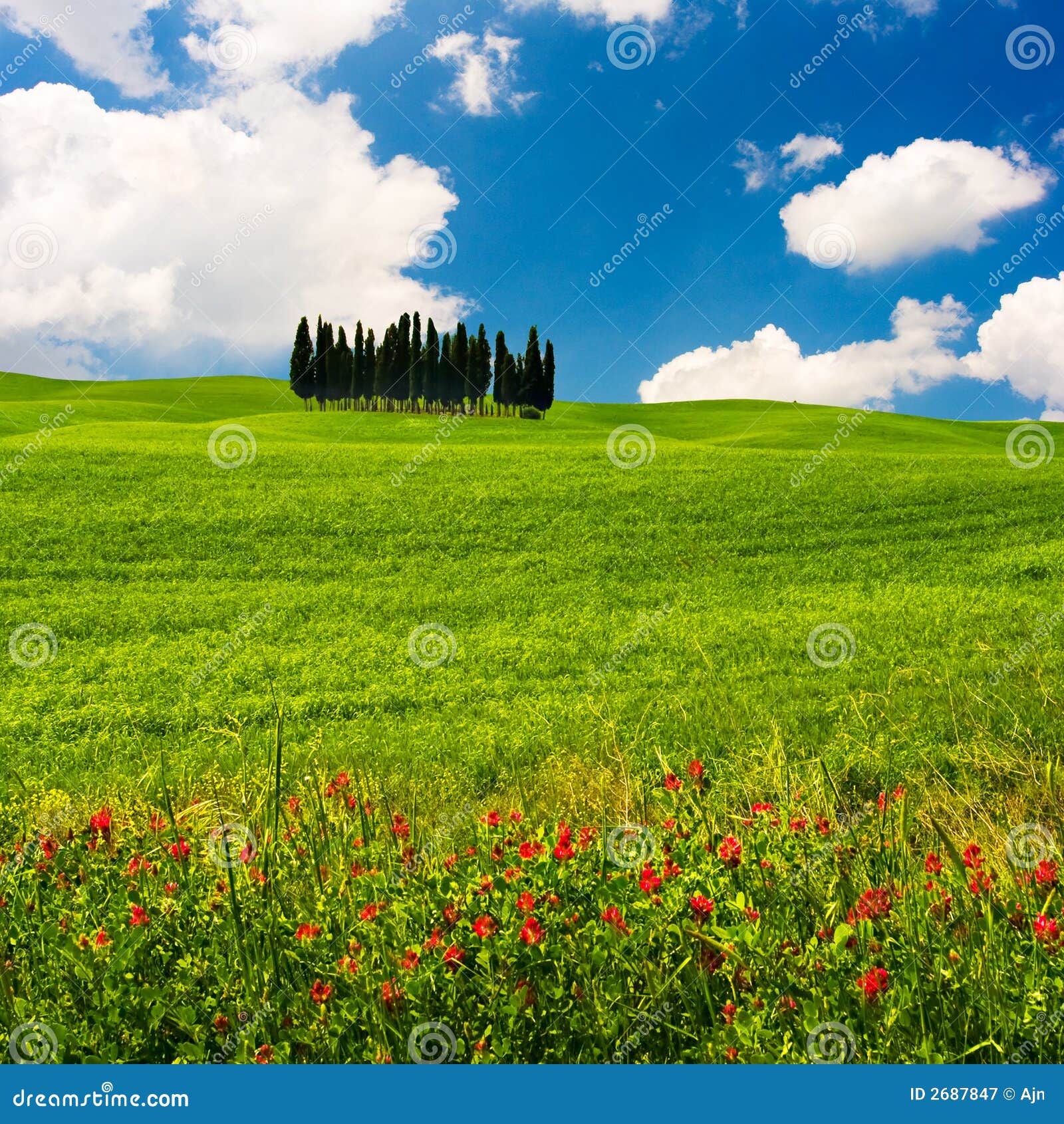 Tuscan Landscape stock image. Image of orcia, cypress - 2687847