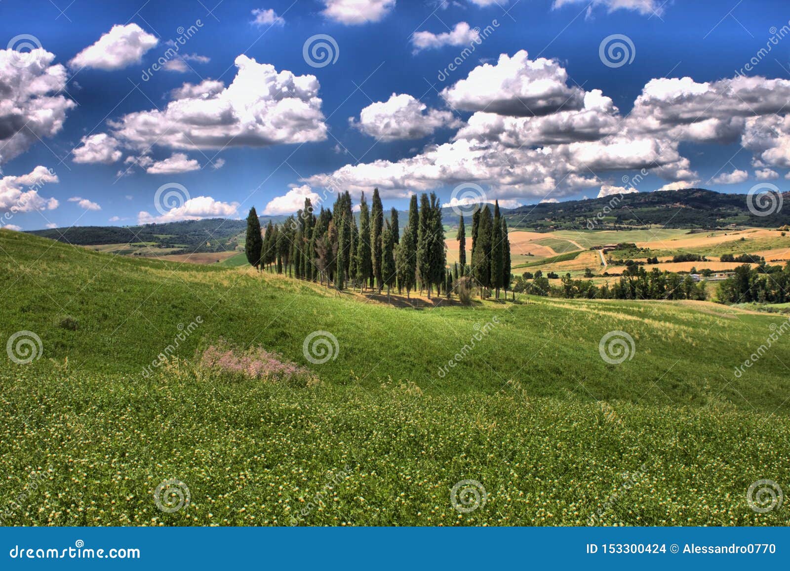 Tuscan Landscape with Cypress Trees Stock Photo - Image of classical ...