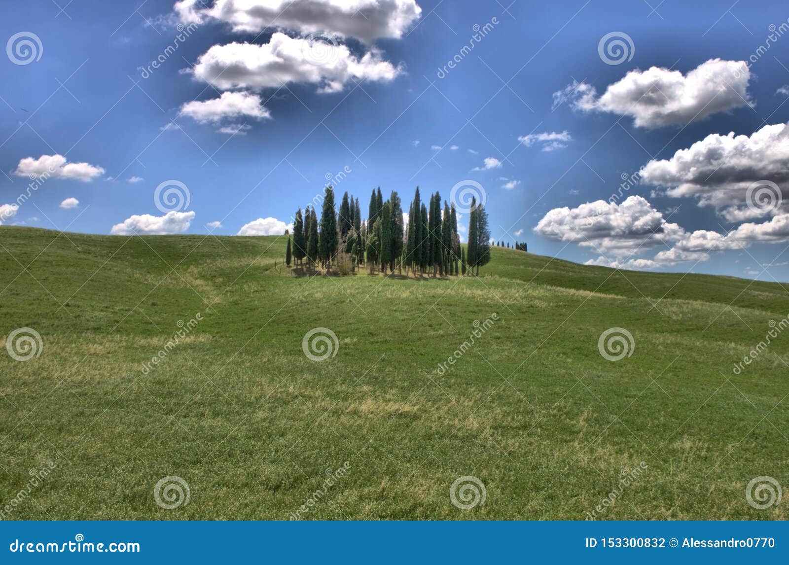 Tuscan Landscape with Cypress Trees Stock Photo - Image of hills ...