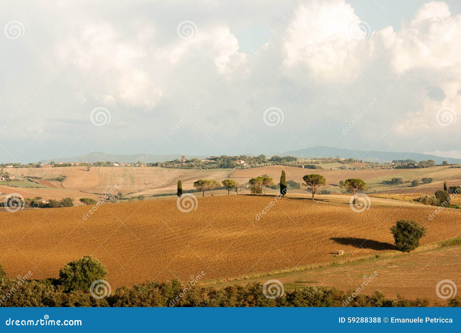 Tuscan landscape stock photo. Image of planting, quirico - 59288388