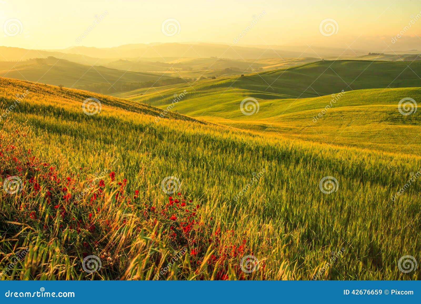Tuscan landscape stock image. Image of holiday, hilly - 42676659