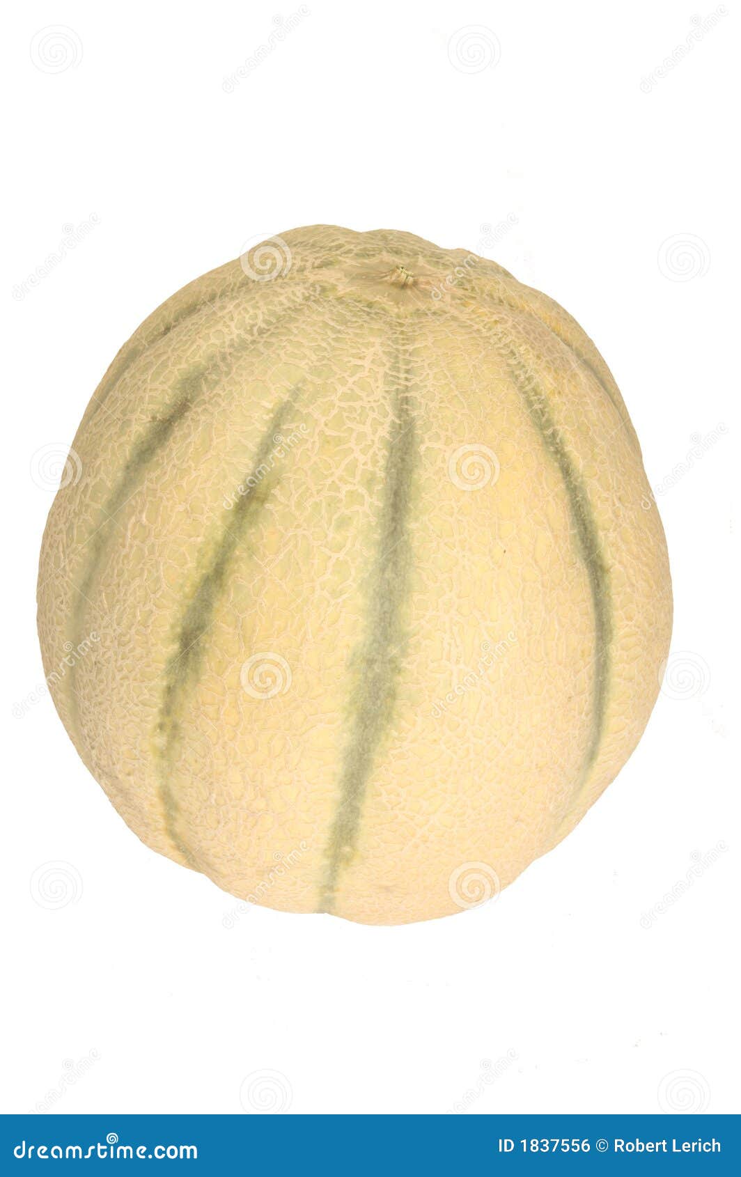 Tuscan melon stock photo. Image of isolated, nutritious - 1837556