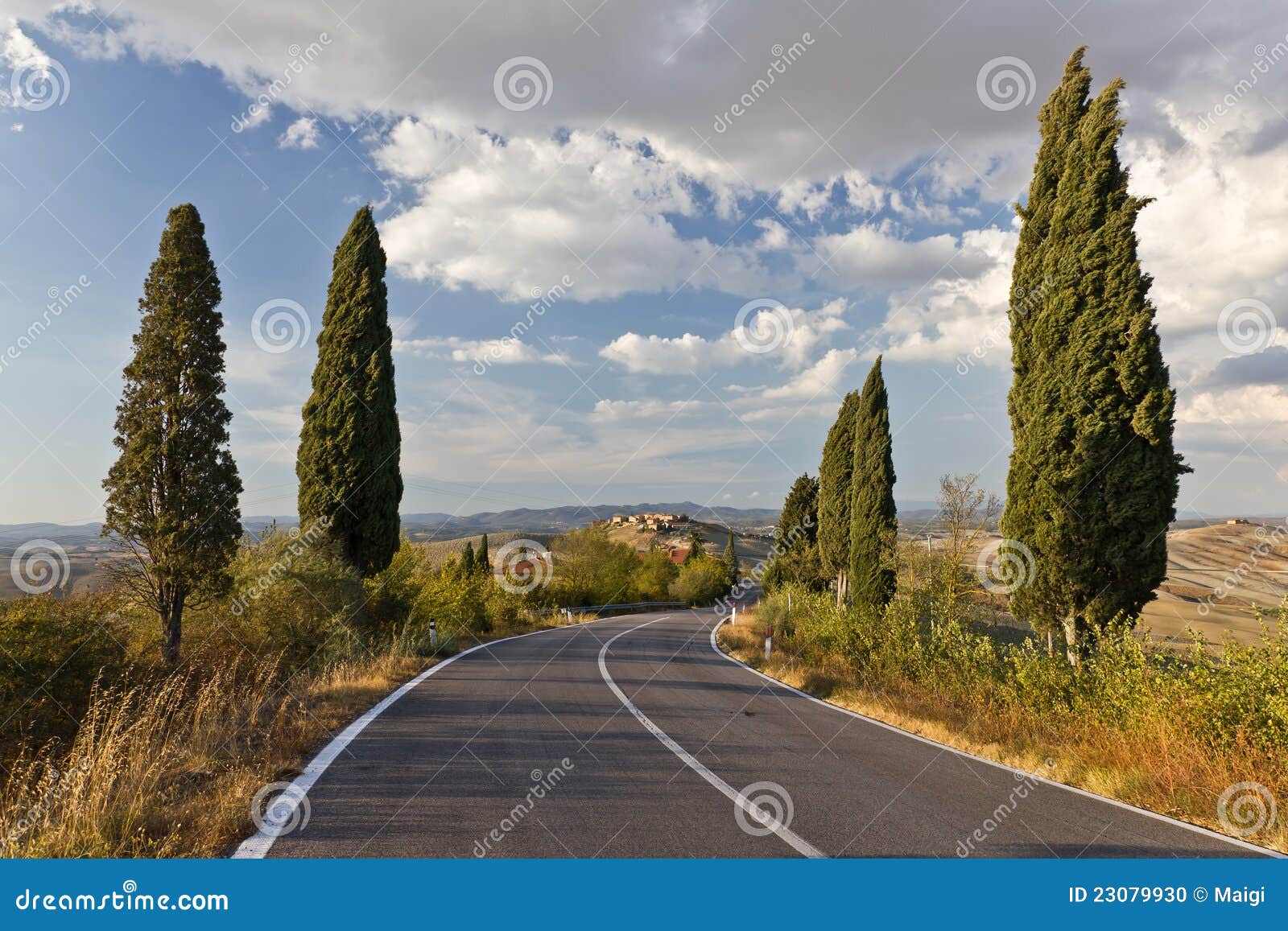 Tuscan Road stock photo. Image of italian, italy, nature - 23079930