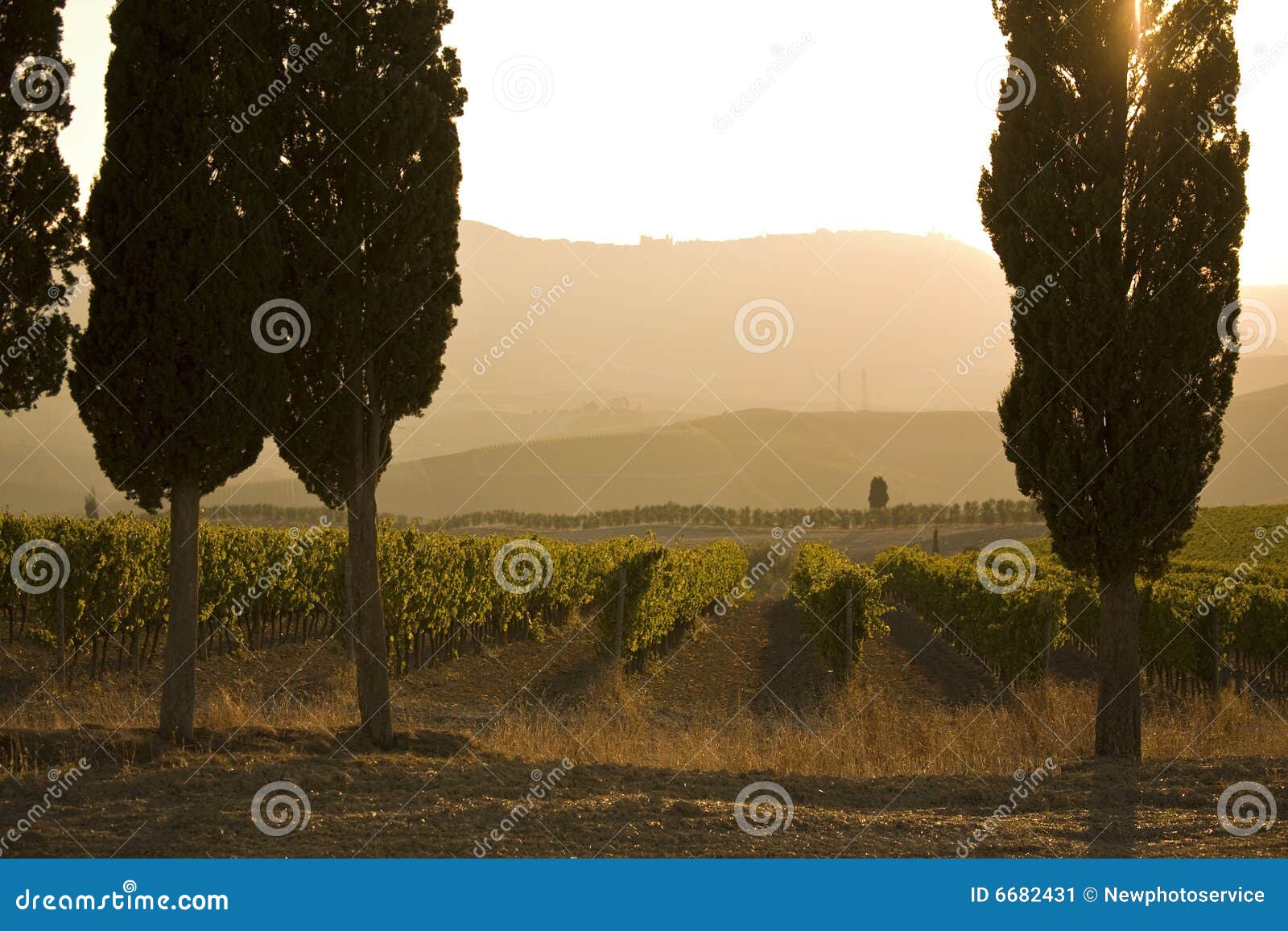 Tuscan sunset stock image. Image of farm, relax, tuscan - 6682431