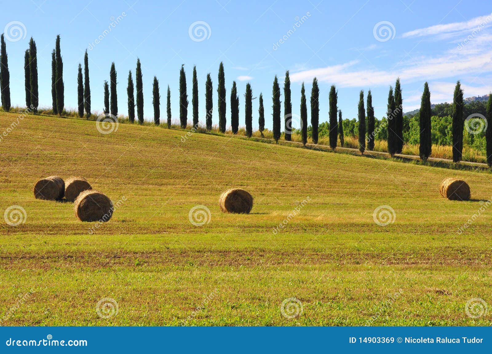 Tuscan Traditional Fields , Italy Stock Image - Image of green, bale ...