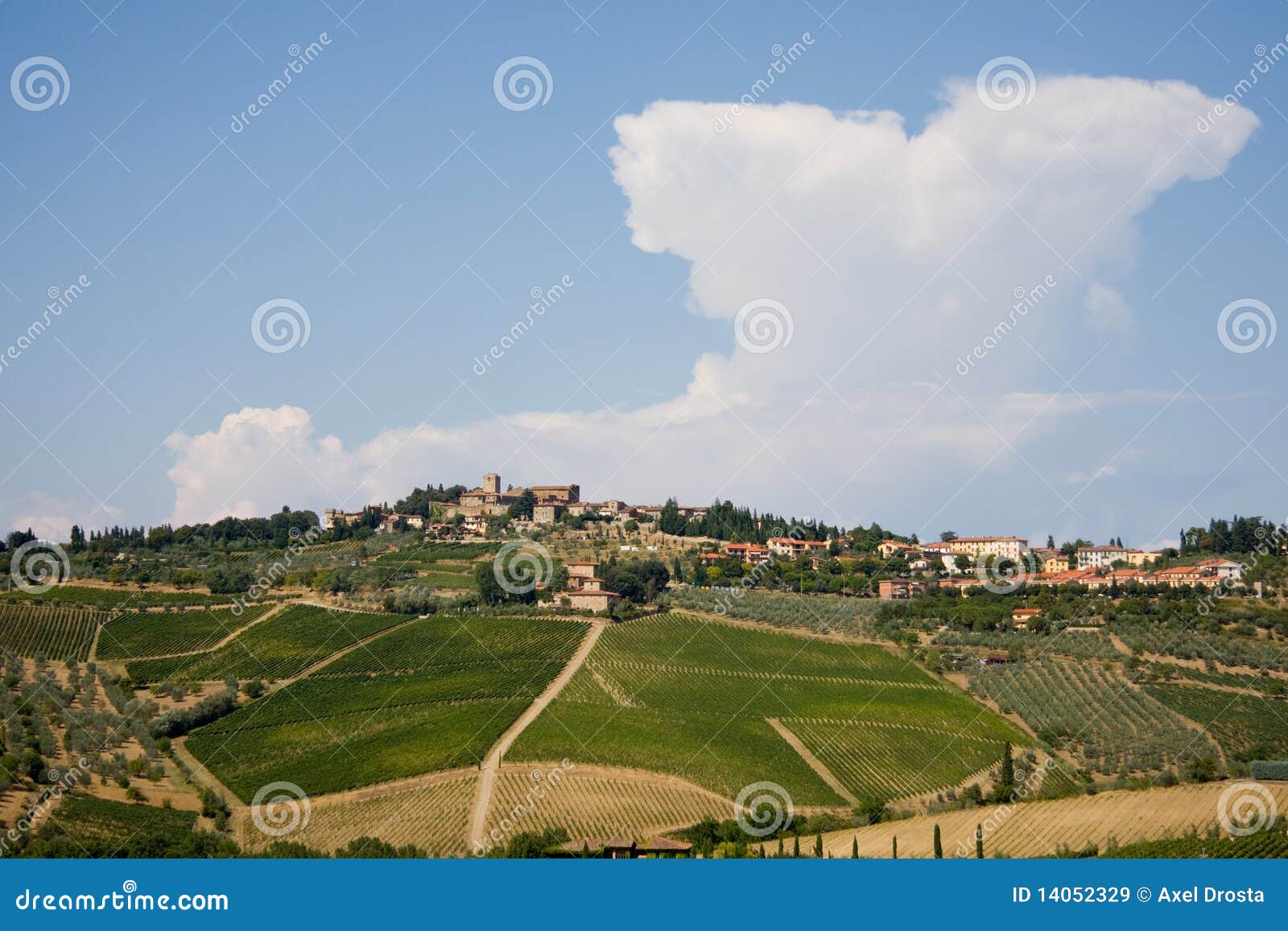 Tuscan Village and Vineyard Stock Image - Image of italian, landscape ...