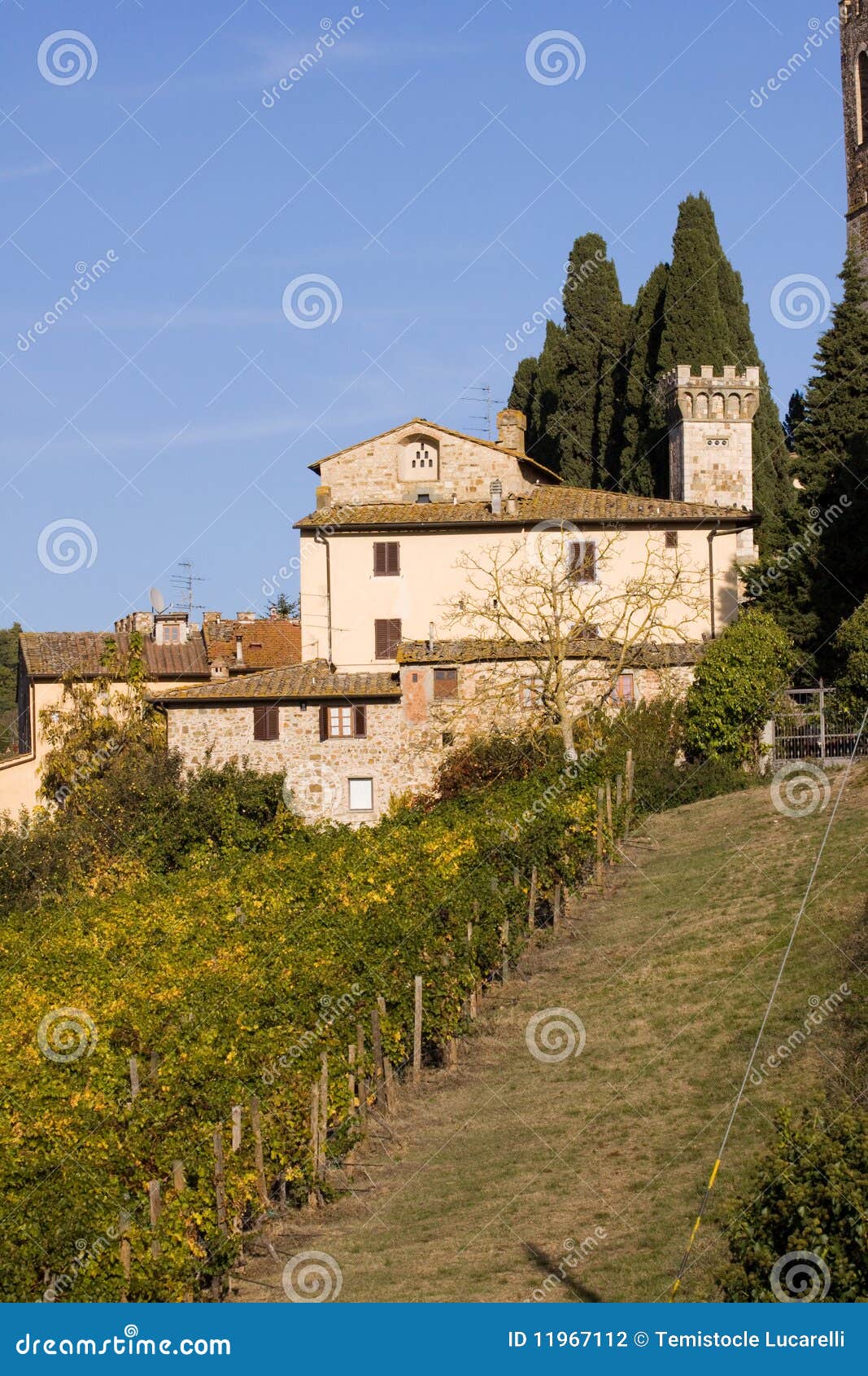 Tuscany castle stock photo. Image of trees, nature, grape - 11967112