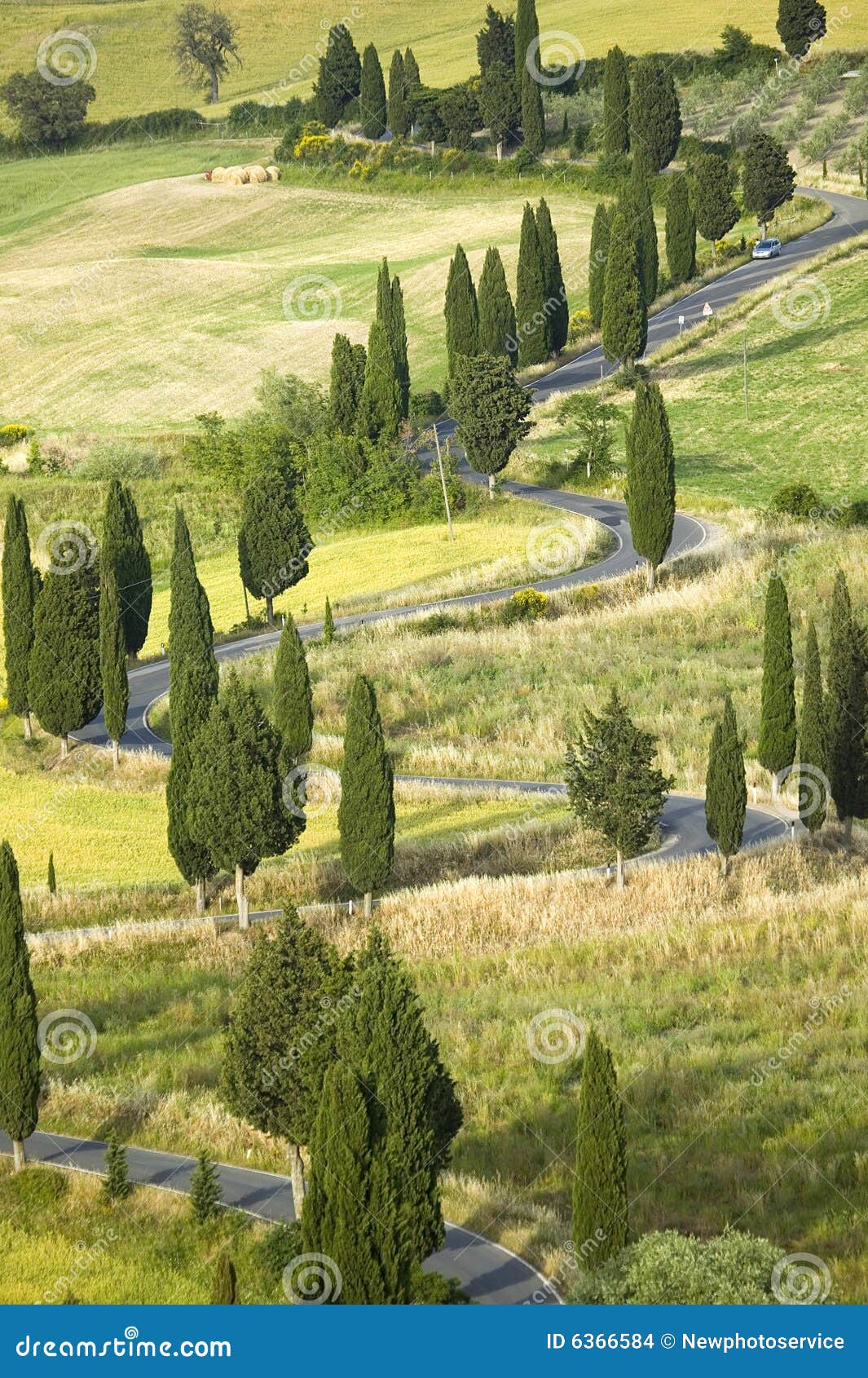 TUSCANY Countryside, Devious Street with Cypress Stock Photo - Image of ...