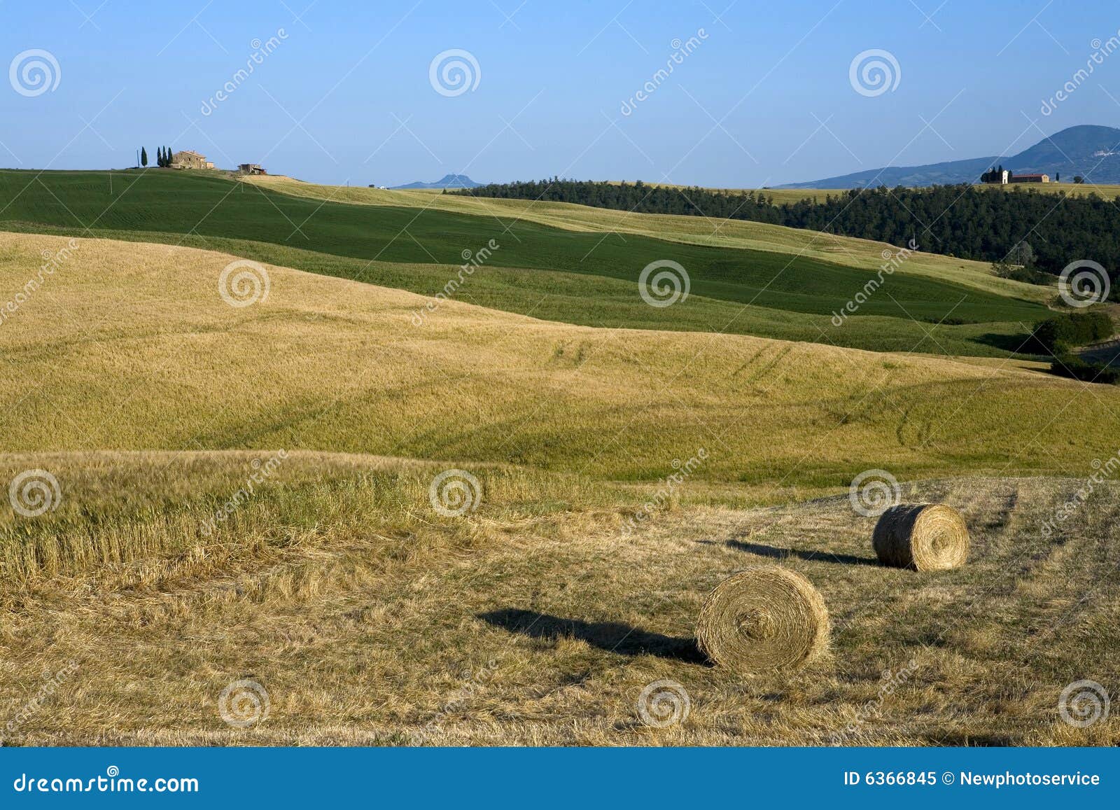 TUSCANY Countryside, Hayball Stock Image - Image of grow, culture: 6366845
