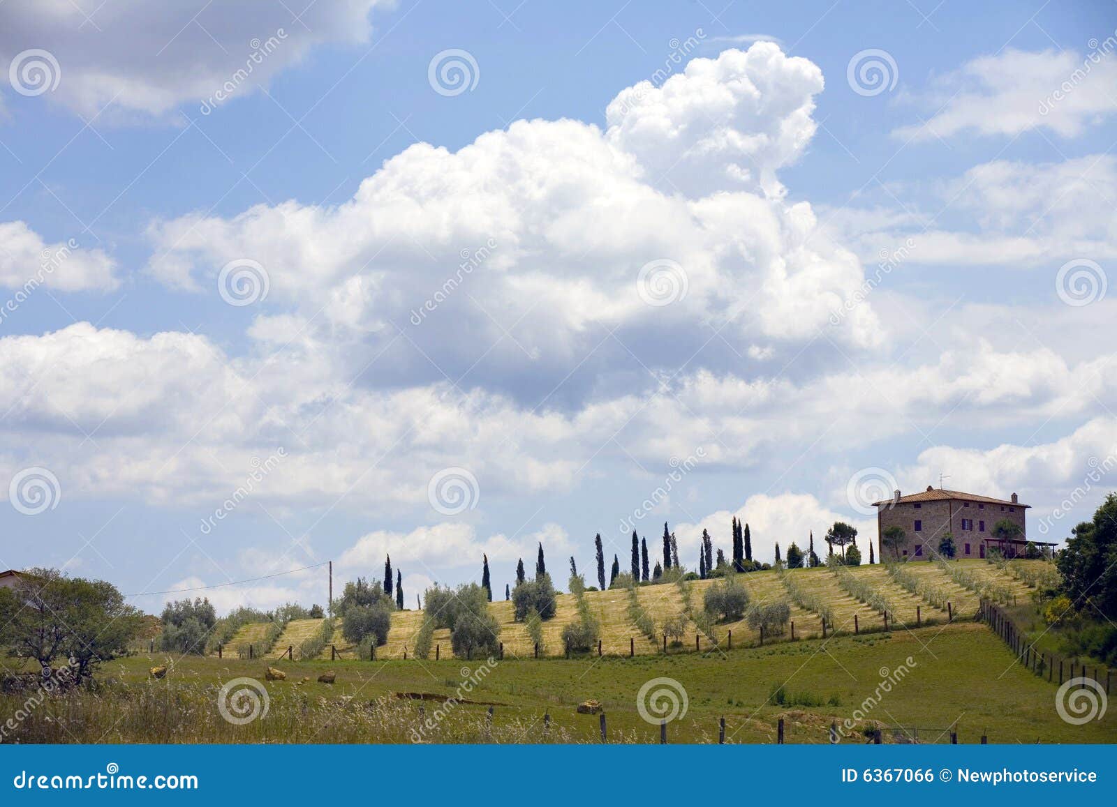 TUSCANY Countryside,little Farm Stock Photo - Image of field, isolated ...