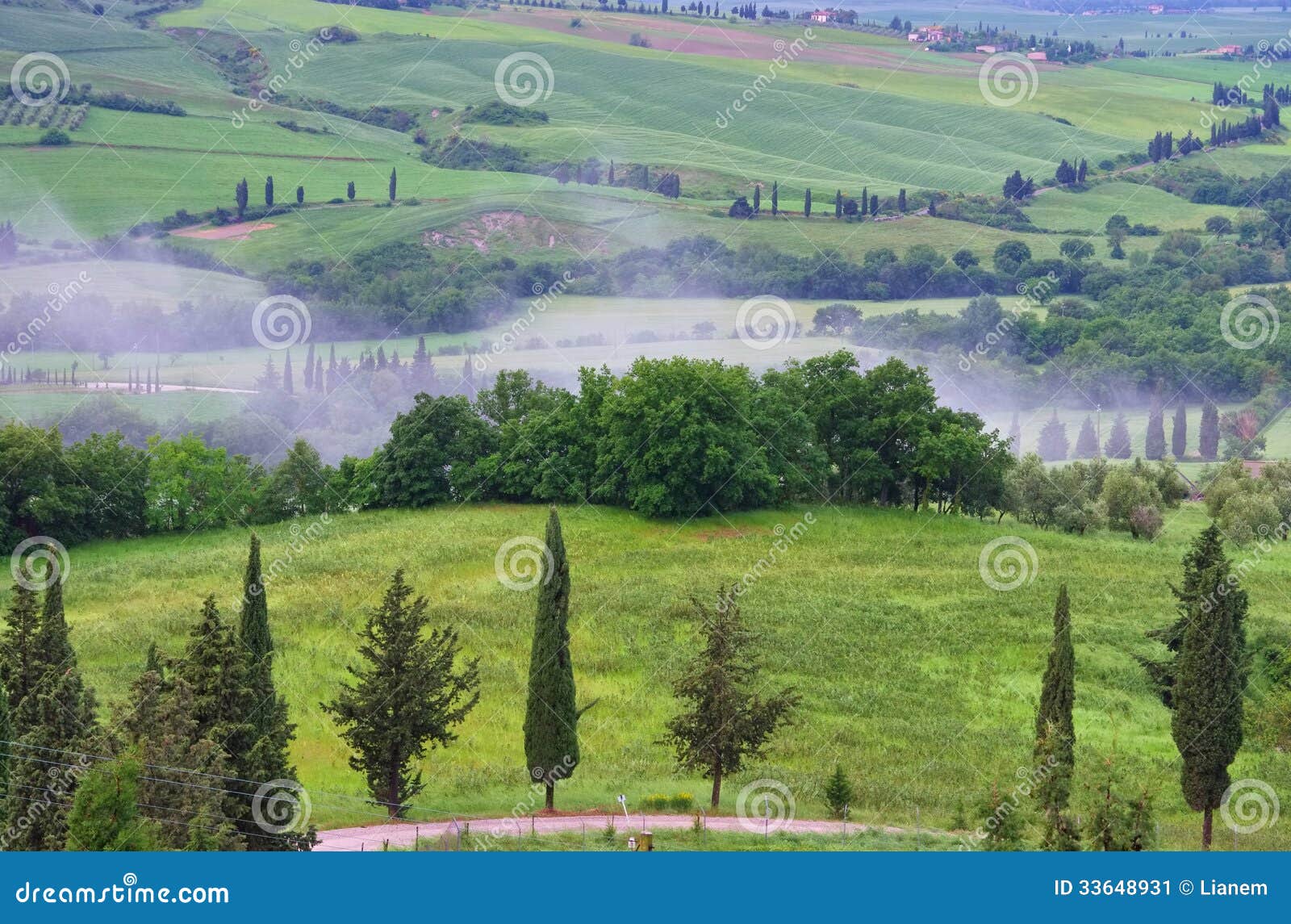 Tuscany Cypress Trees with Track Stock Image - Image of italy, hills ...