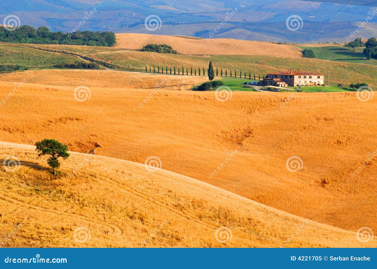 Tuscany farm stock image. Image of field, picturesque - 4221705