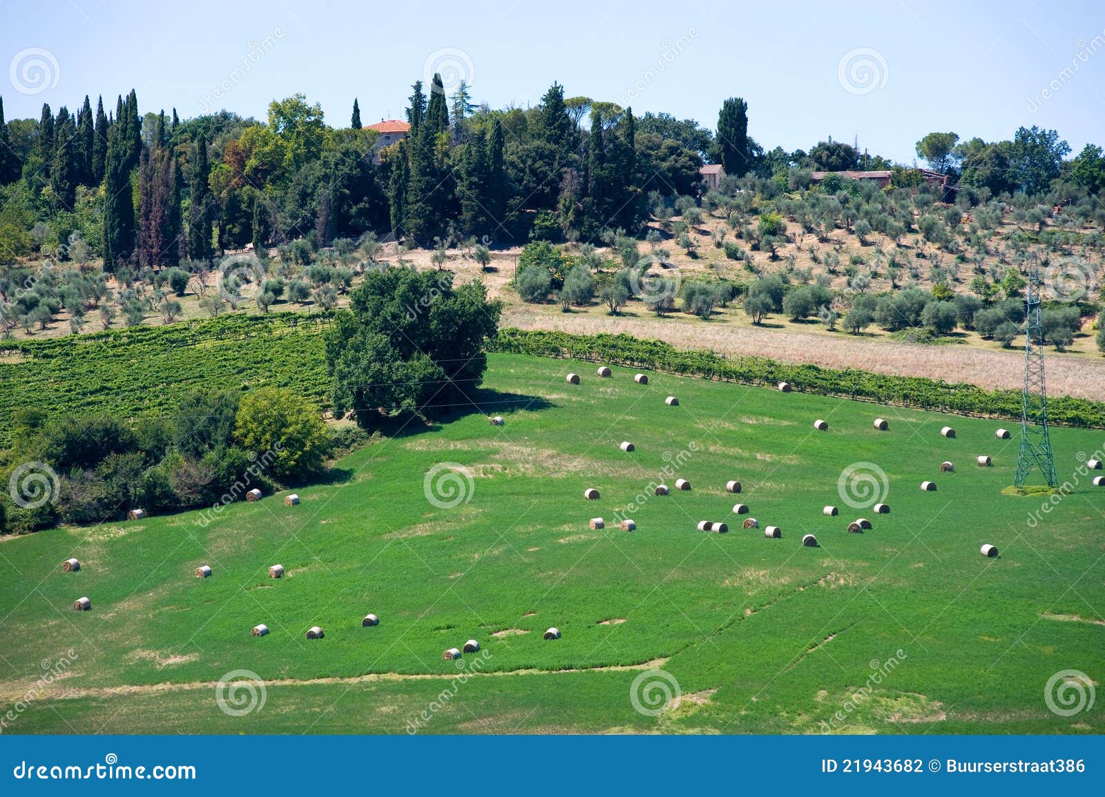Tuscany farmland in Italy stock photo. Image of toscana - 21943682